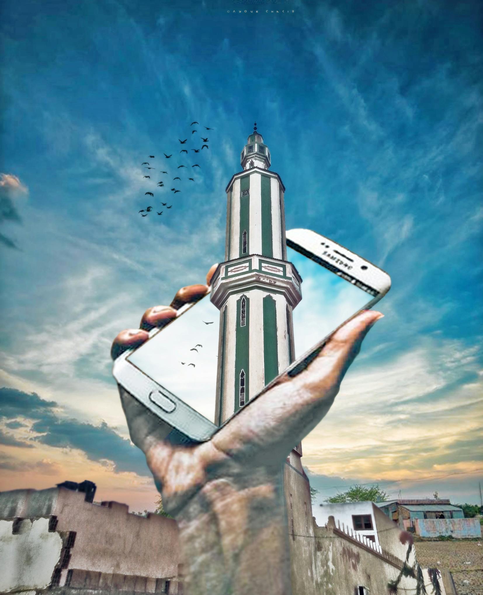 Free stock photo of action photography, focus, nature photography