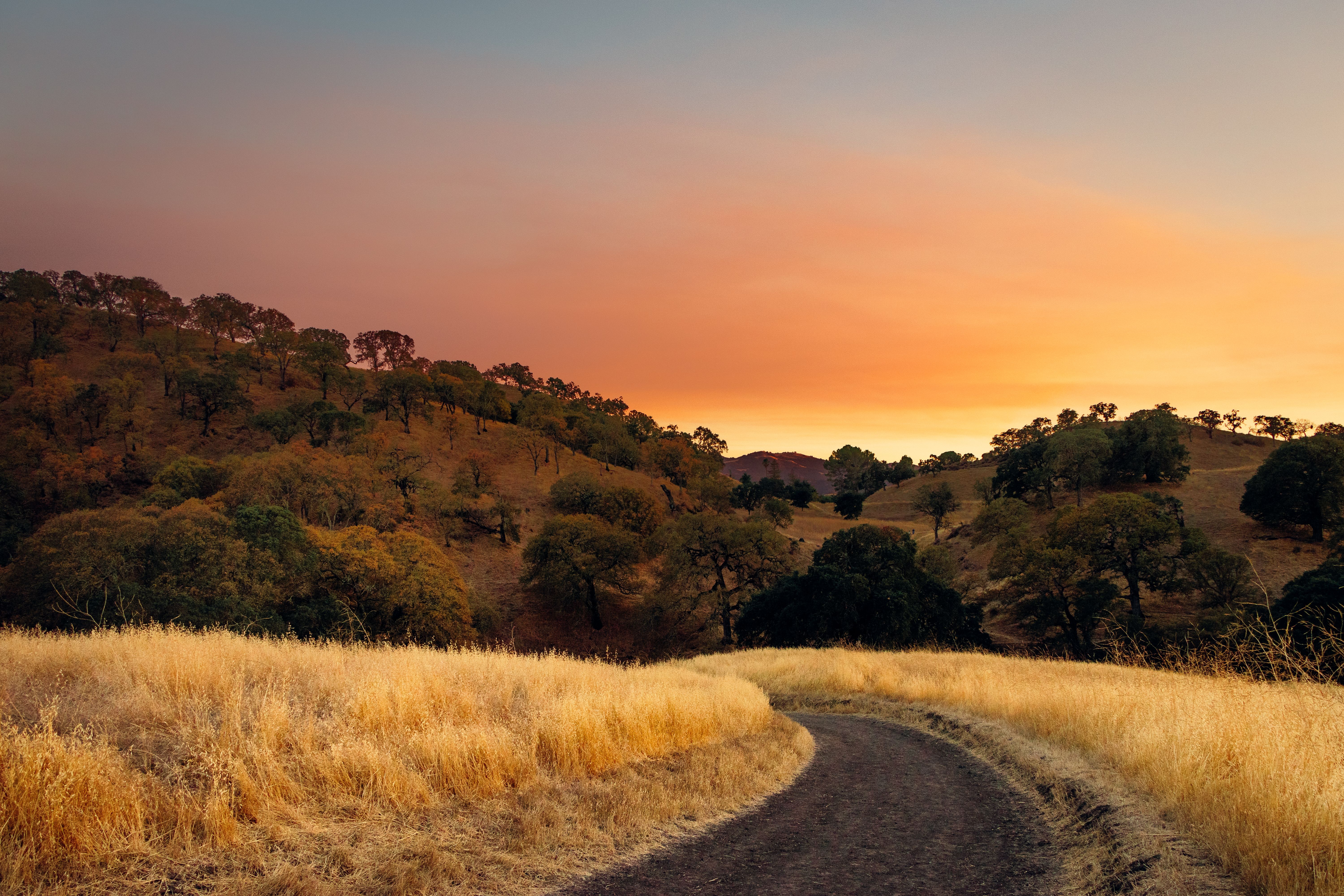 Gold Way Photos, Download The BEST Free Gold Way Stock Photos & HD Images