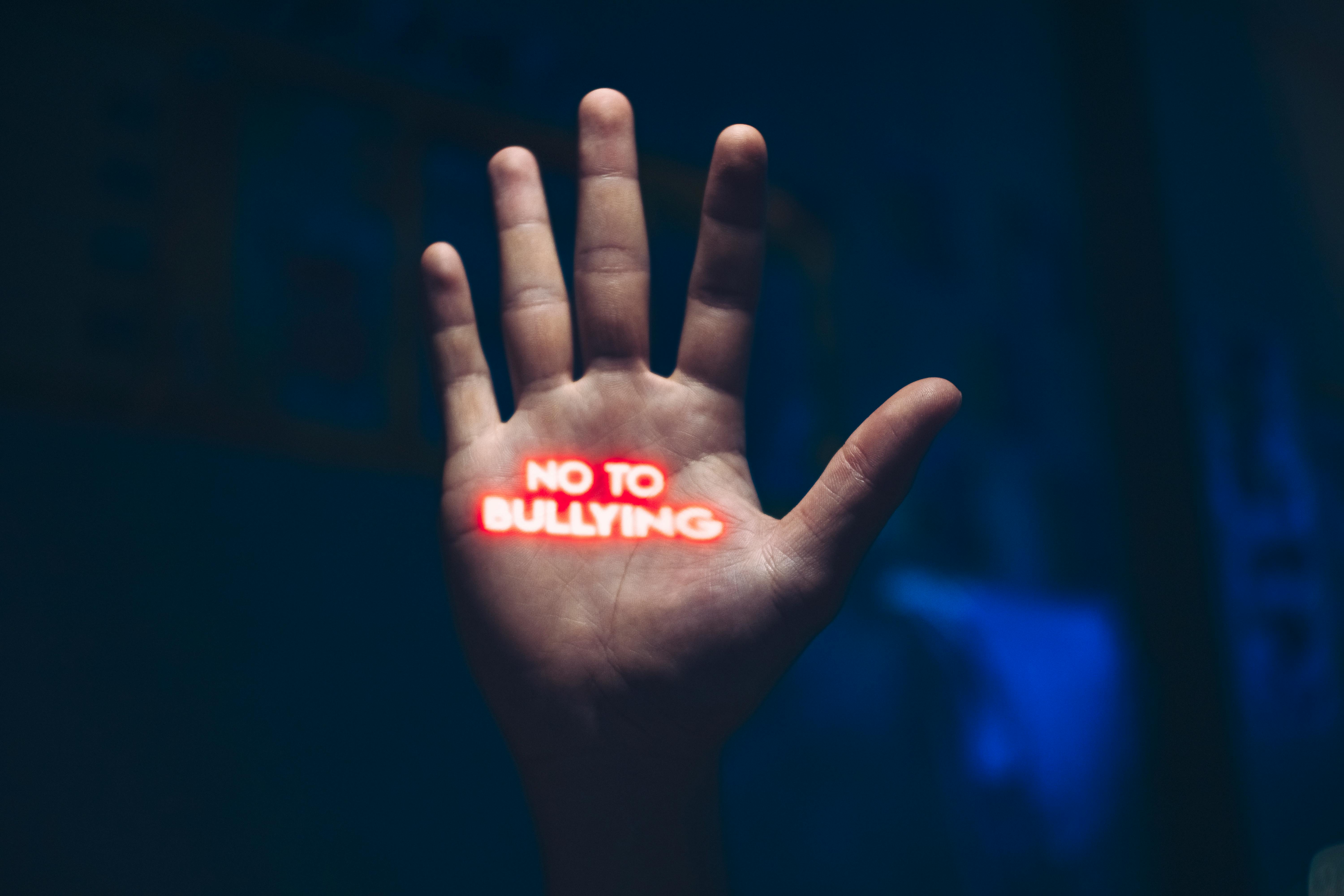Bully Hand Photos, Download The BEST Free Bully Hand Stock Photos & HD ...