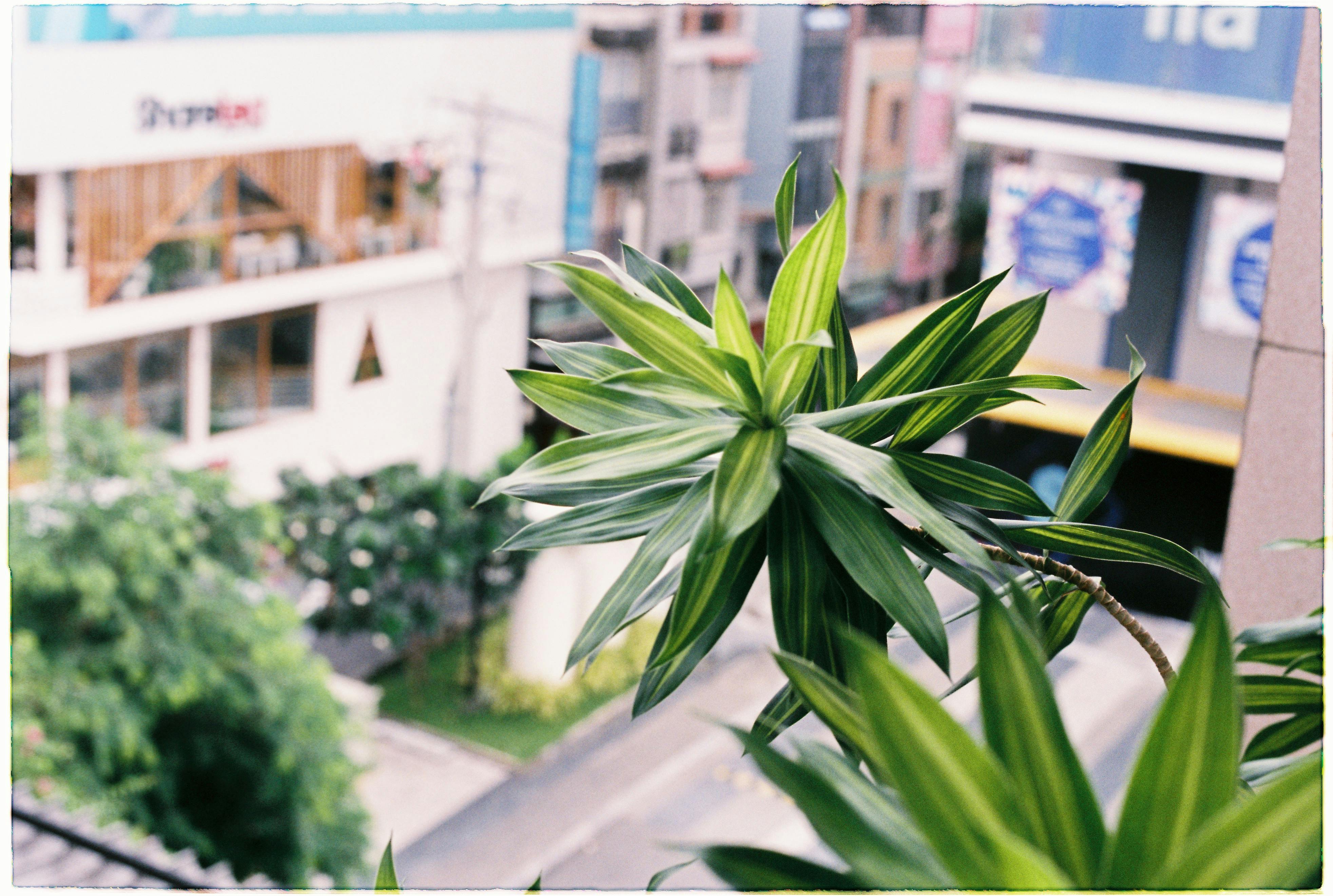 Growing Building Photos, Download The BEST Free Growing Building Stock ...