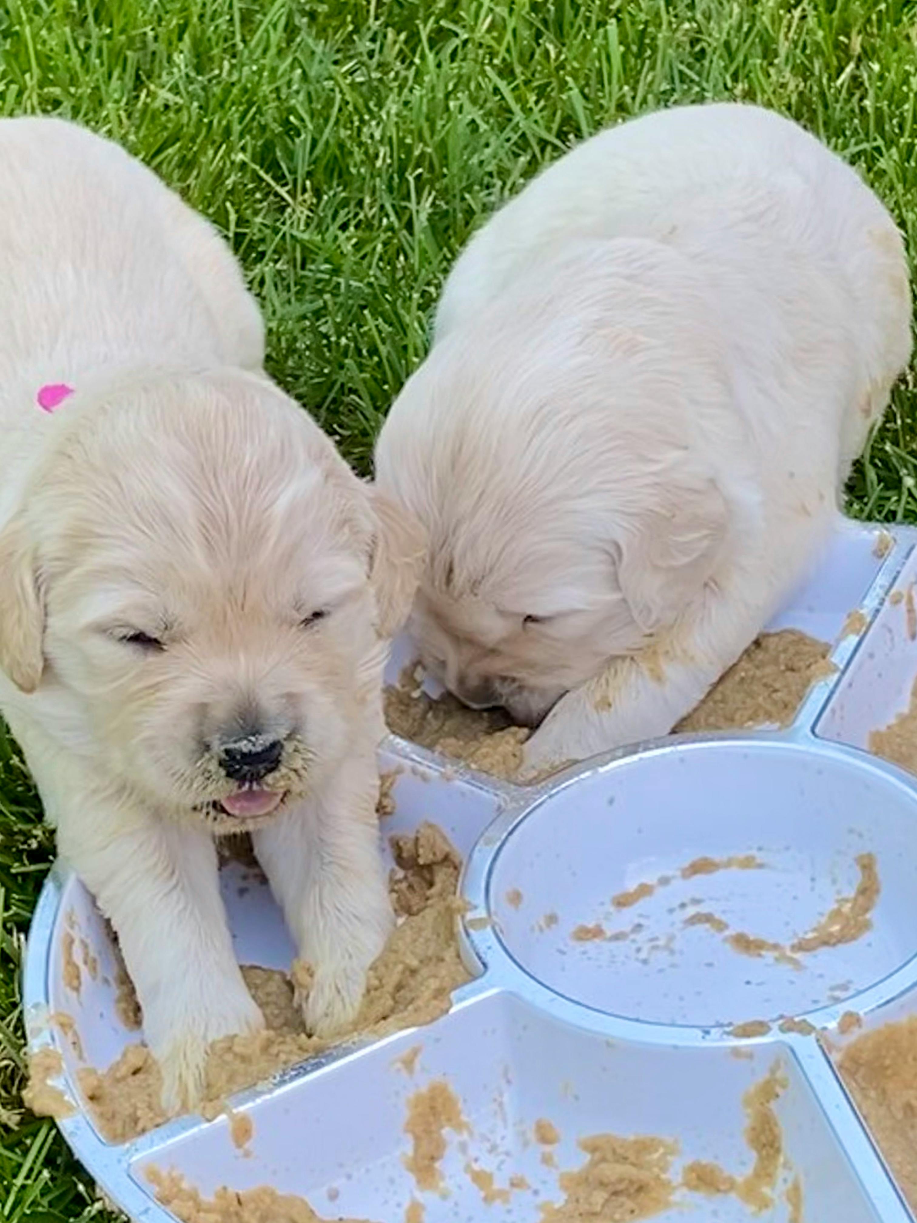 Amy McCormack - Photography