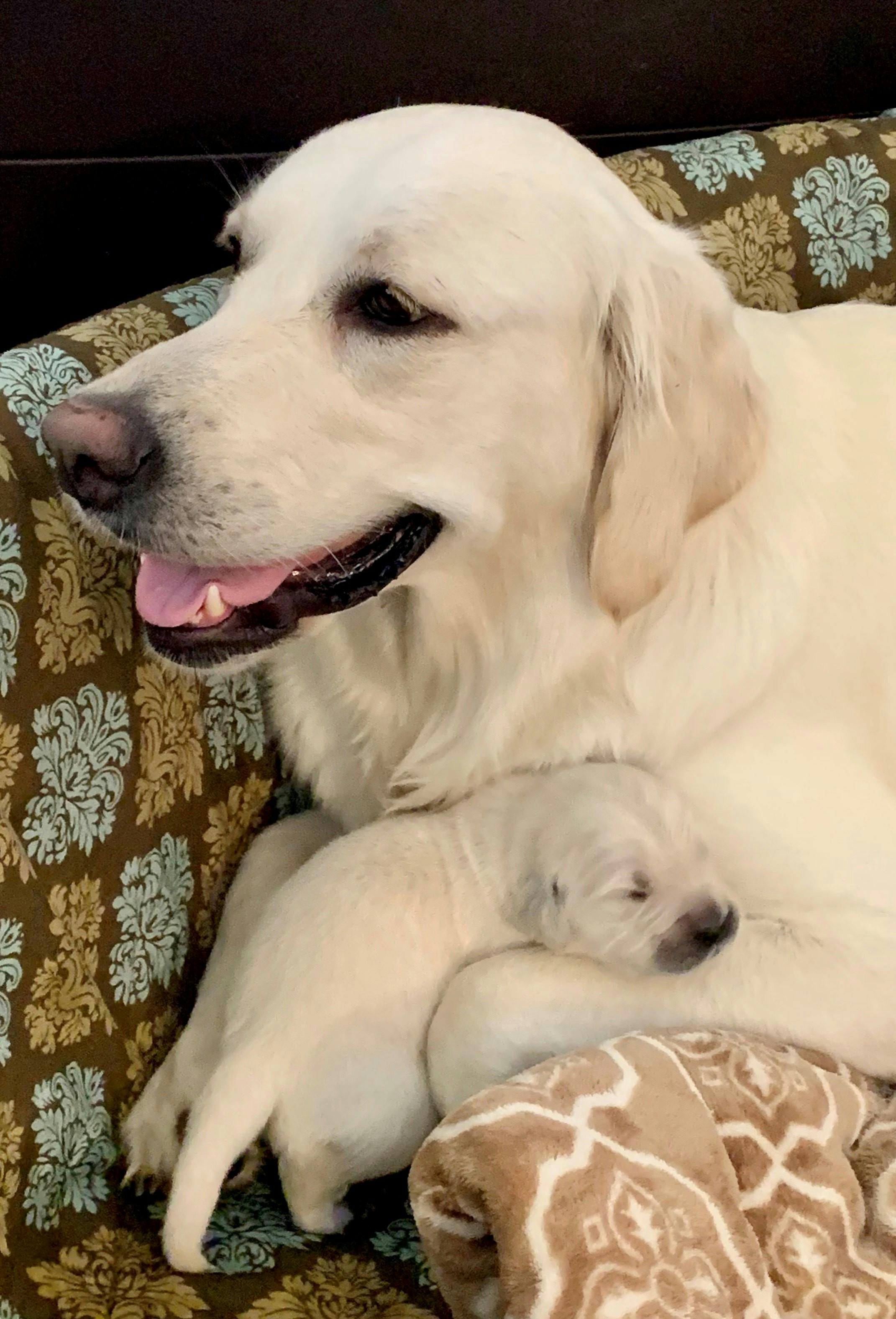 Amy McCormack - Photography