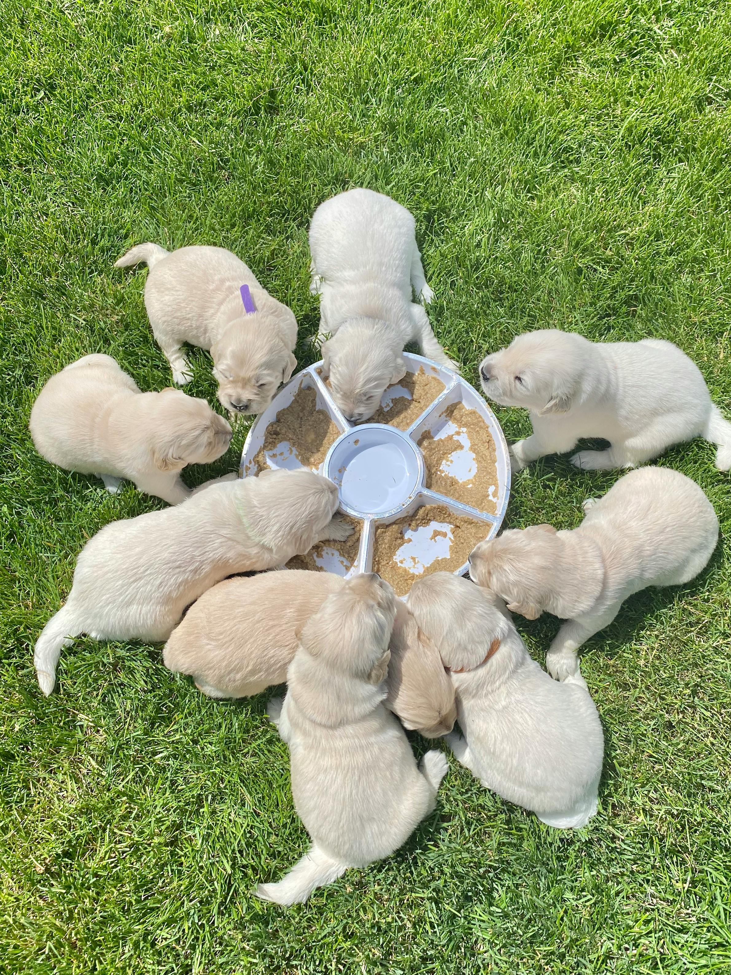 Amy McCormack - Photography