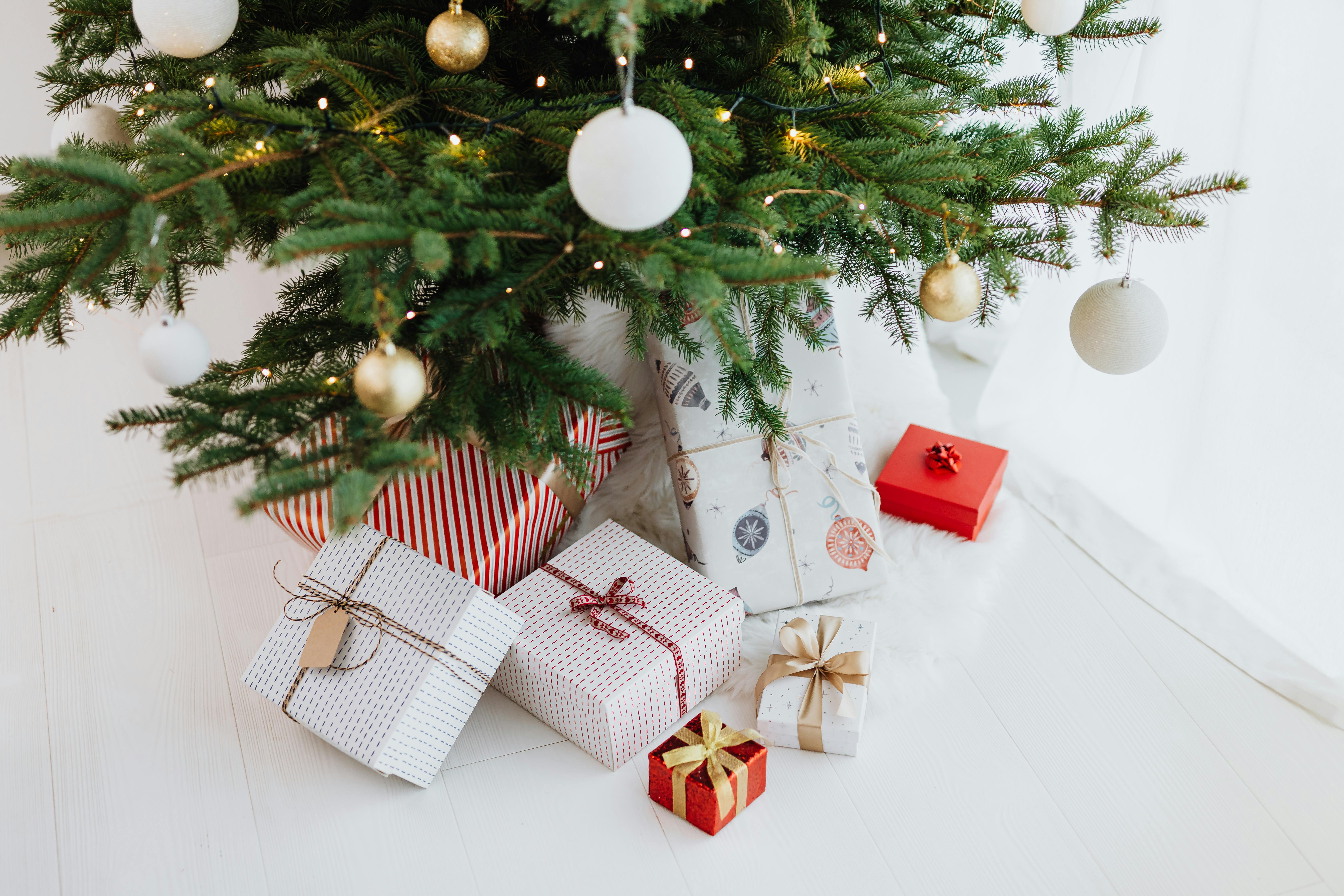 Photo of Gifts Under A Christmas Tree · Free Stock Photo