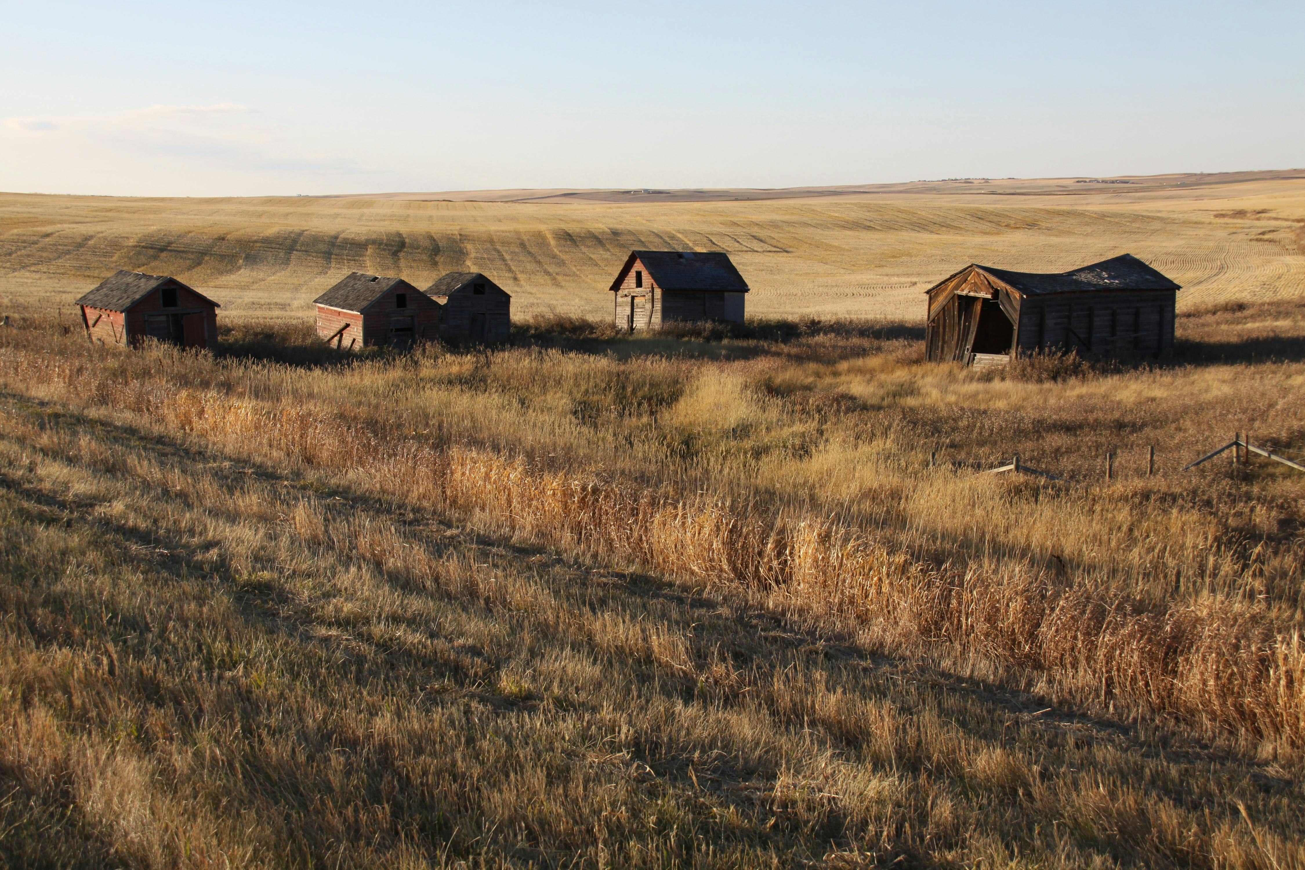 Photo of Abandoned Barns In A Farm · Free Stock Photo