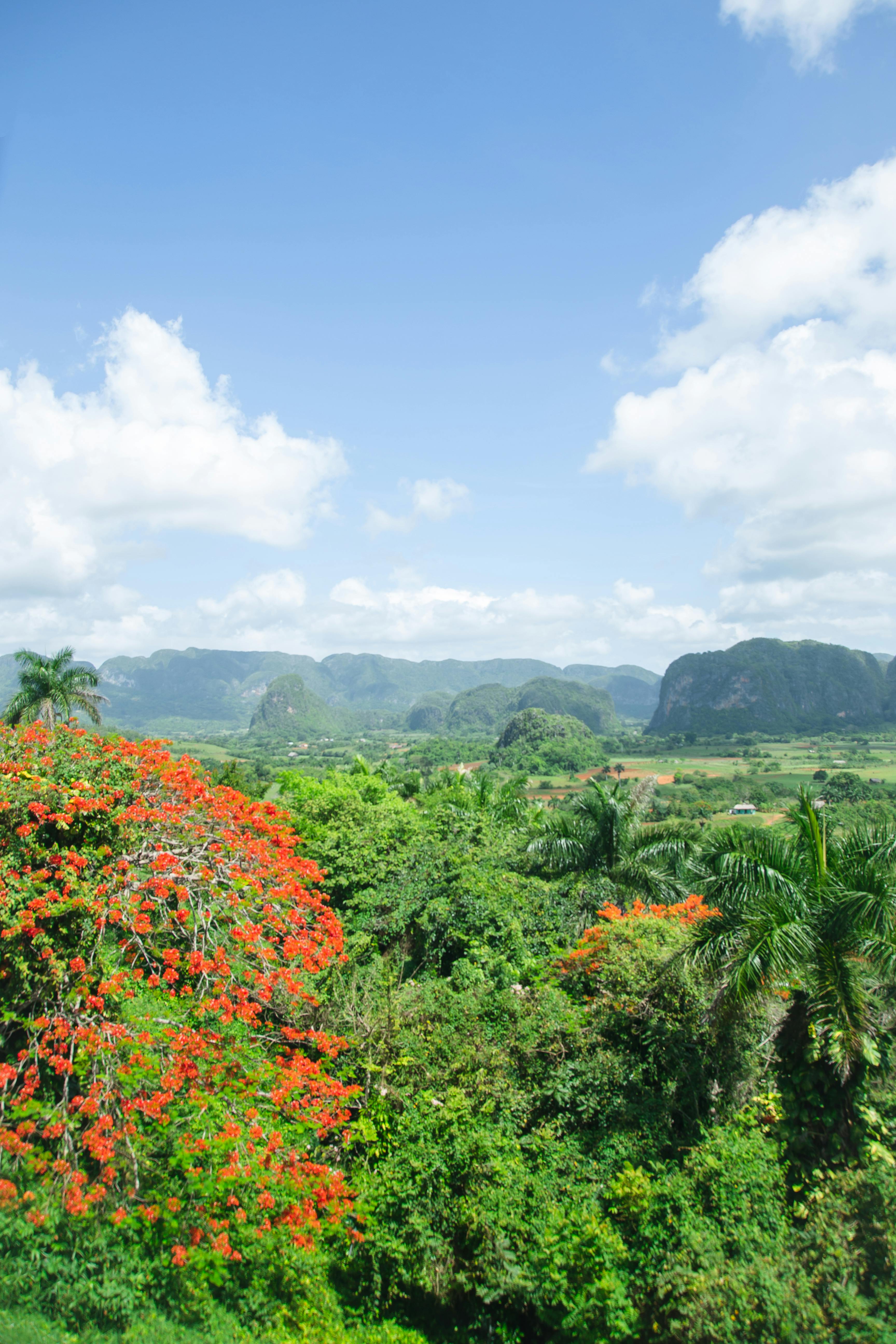 Vinales Valley Photos, Download The BEST Free Vinales Valley Stock ...