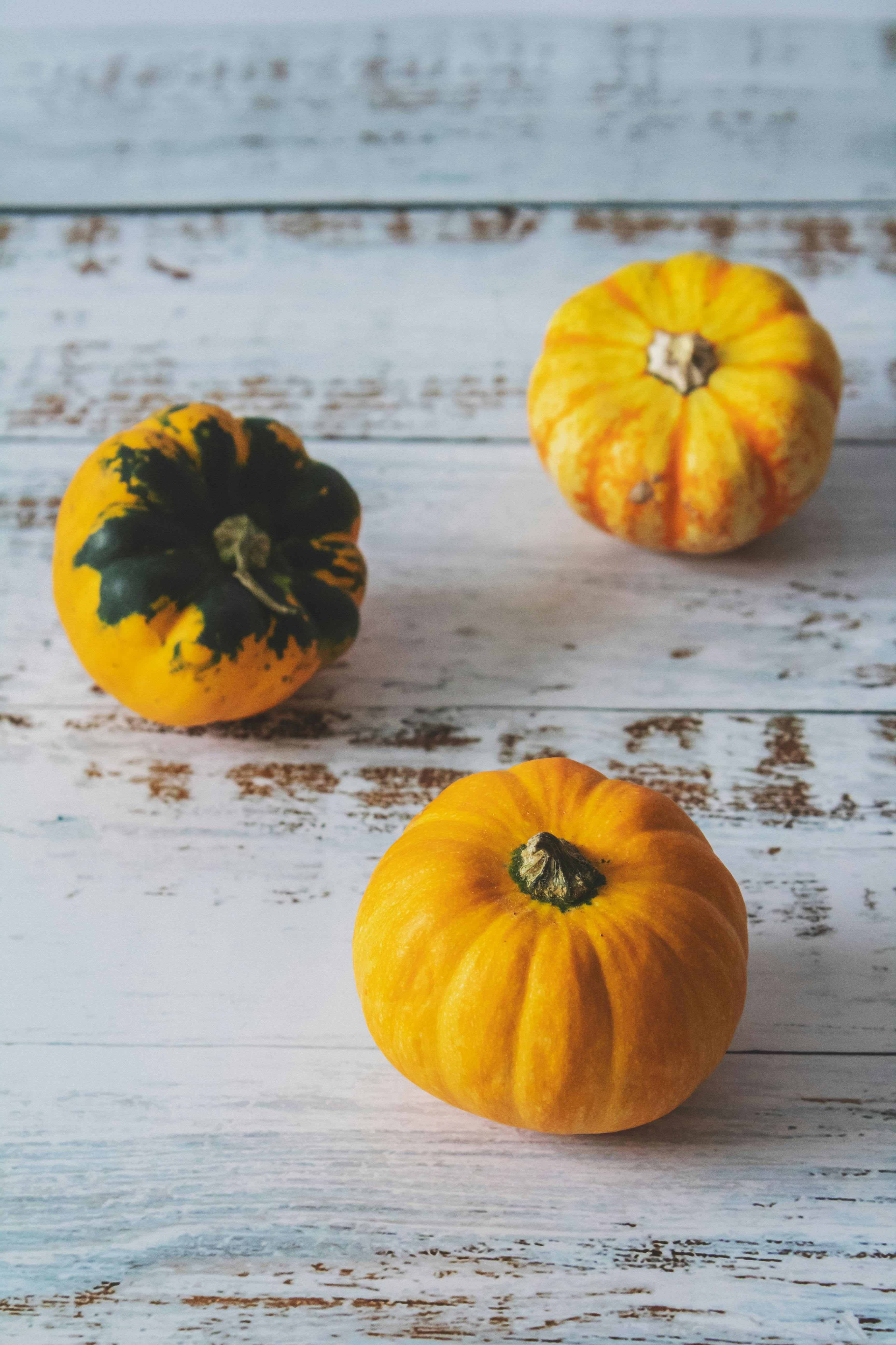 Orange Pumpkin Lot on White Pallet Board · Free Stock Photo