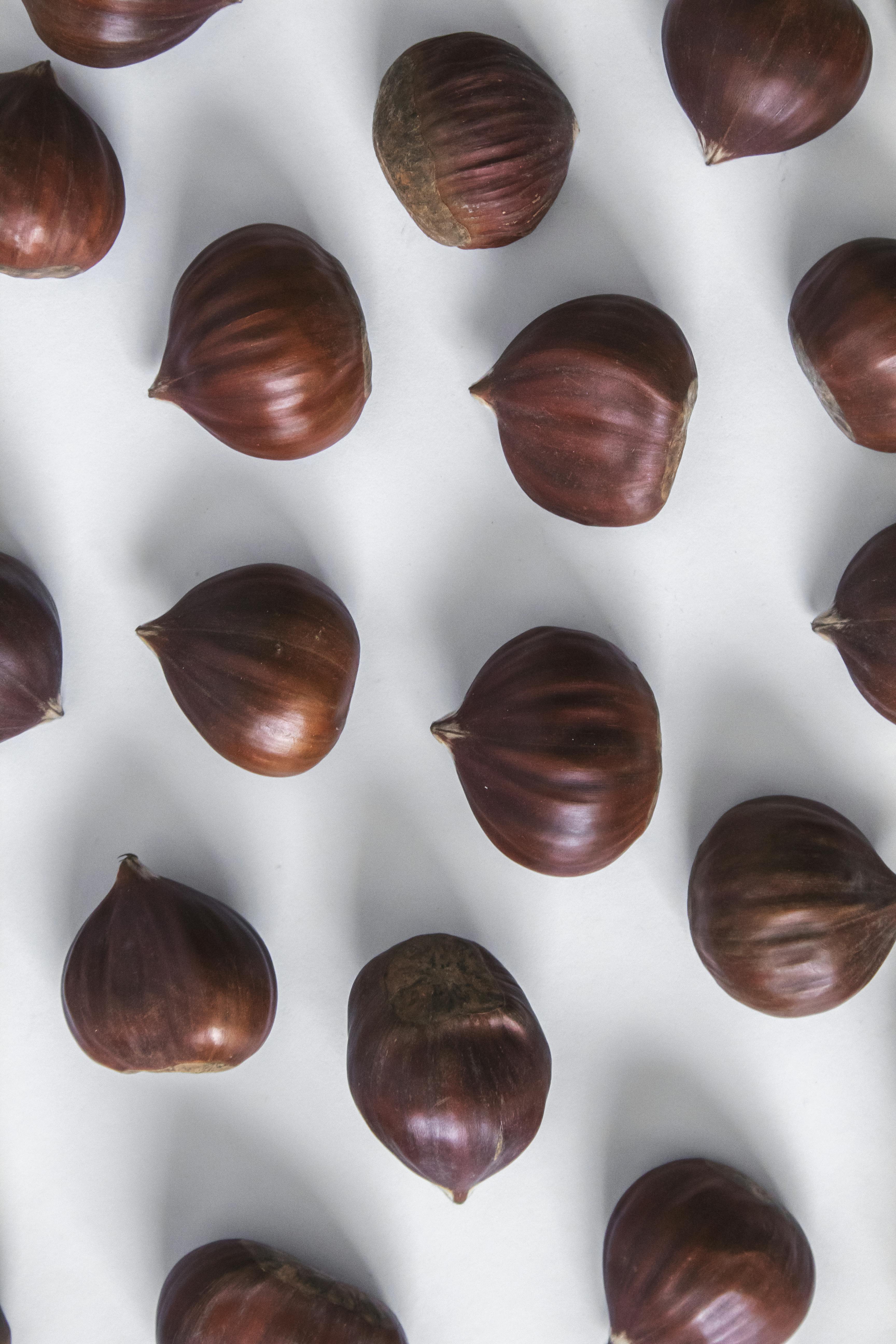 Close-Up Shot of Chestnuts · Free Stock Photo