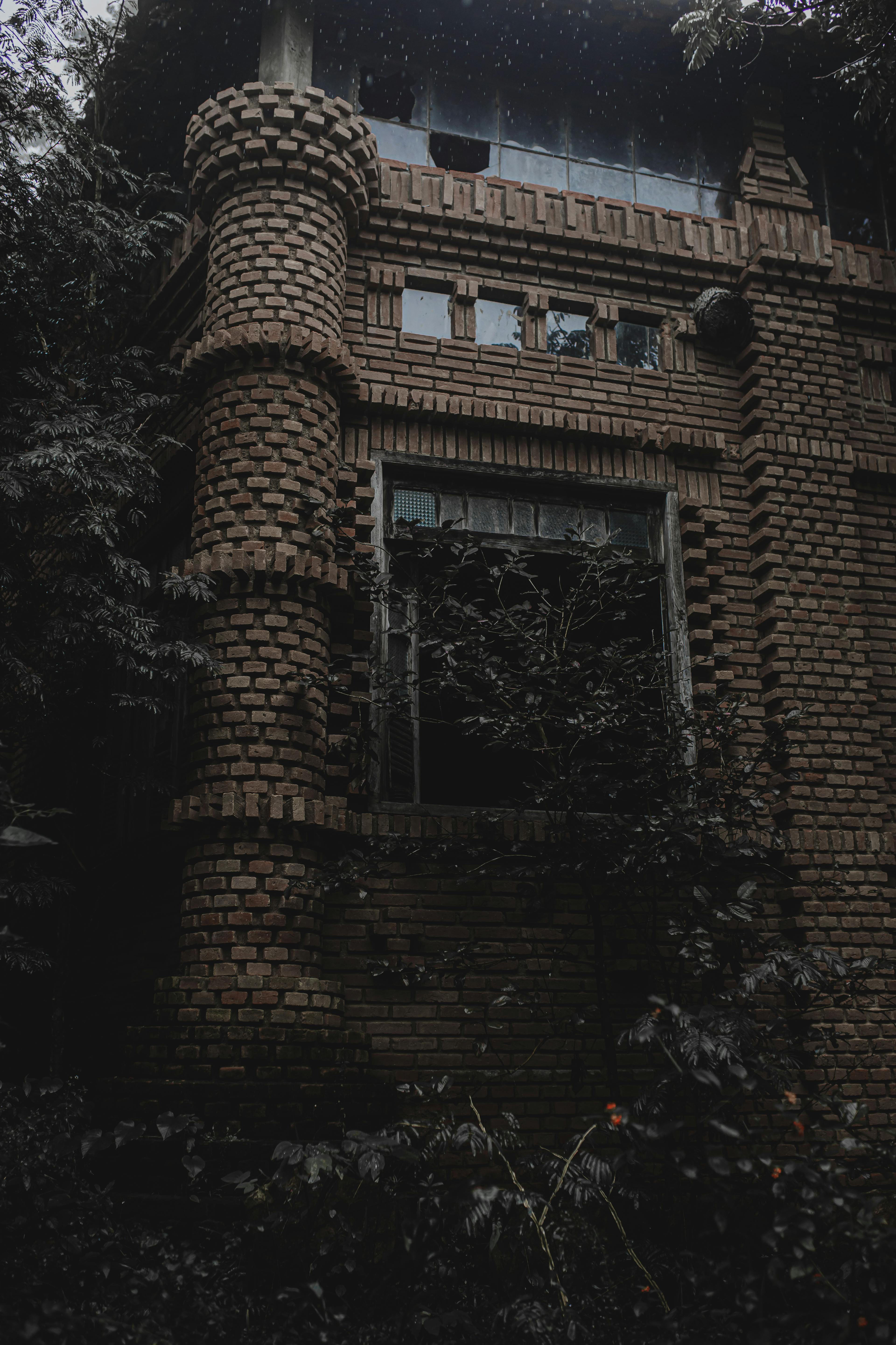 Exterior of building overgrown with green plants · Free Stock Photo