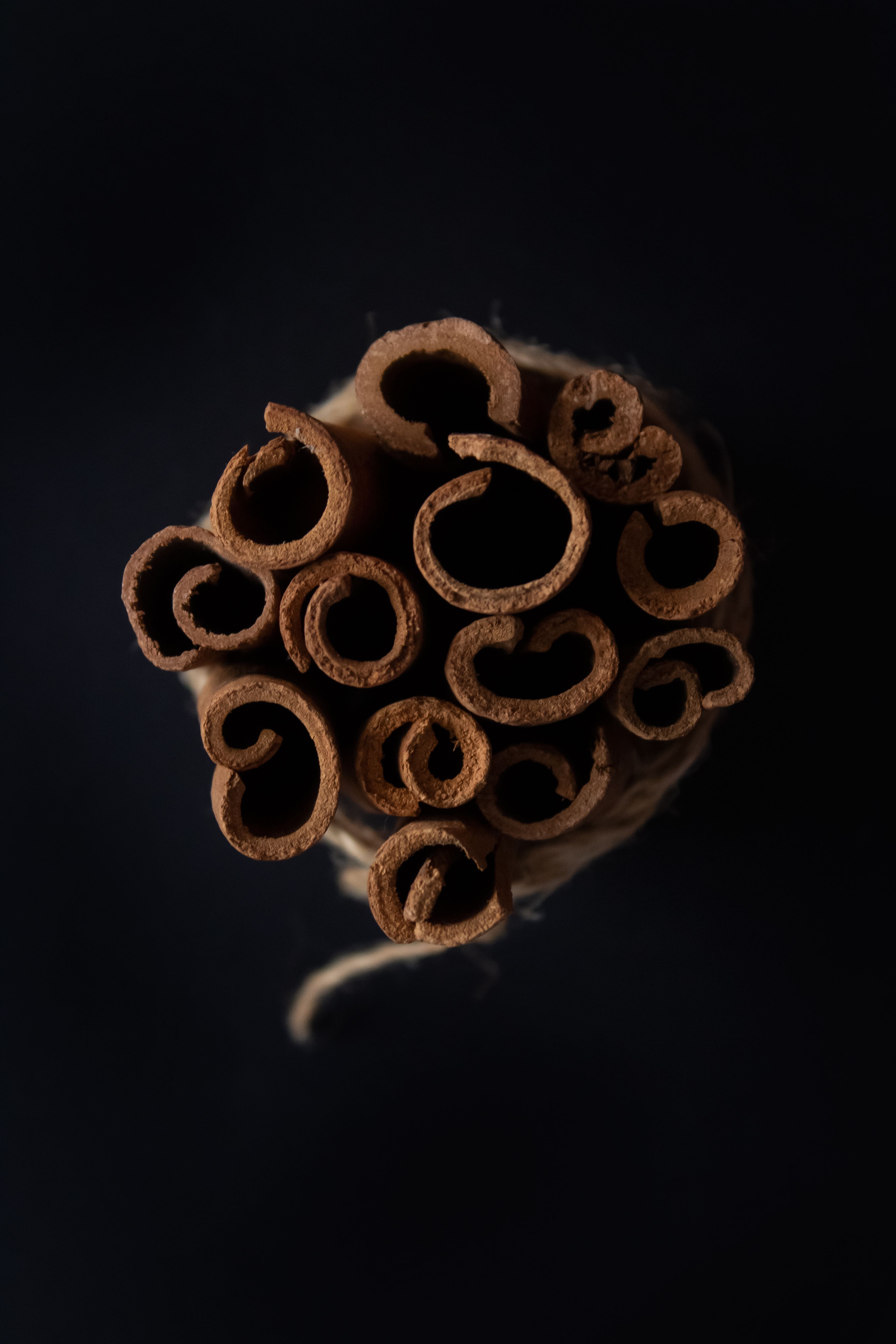 Close Up of Cinnamon Sticks · Free Stock Photo