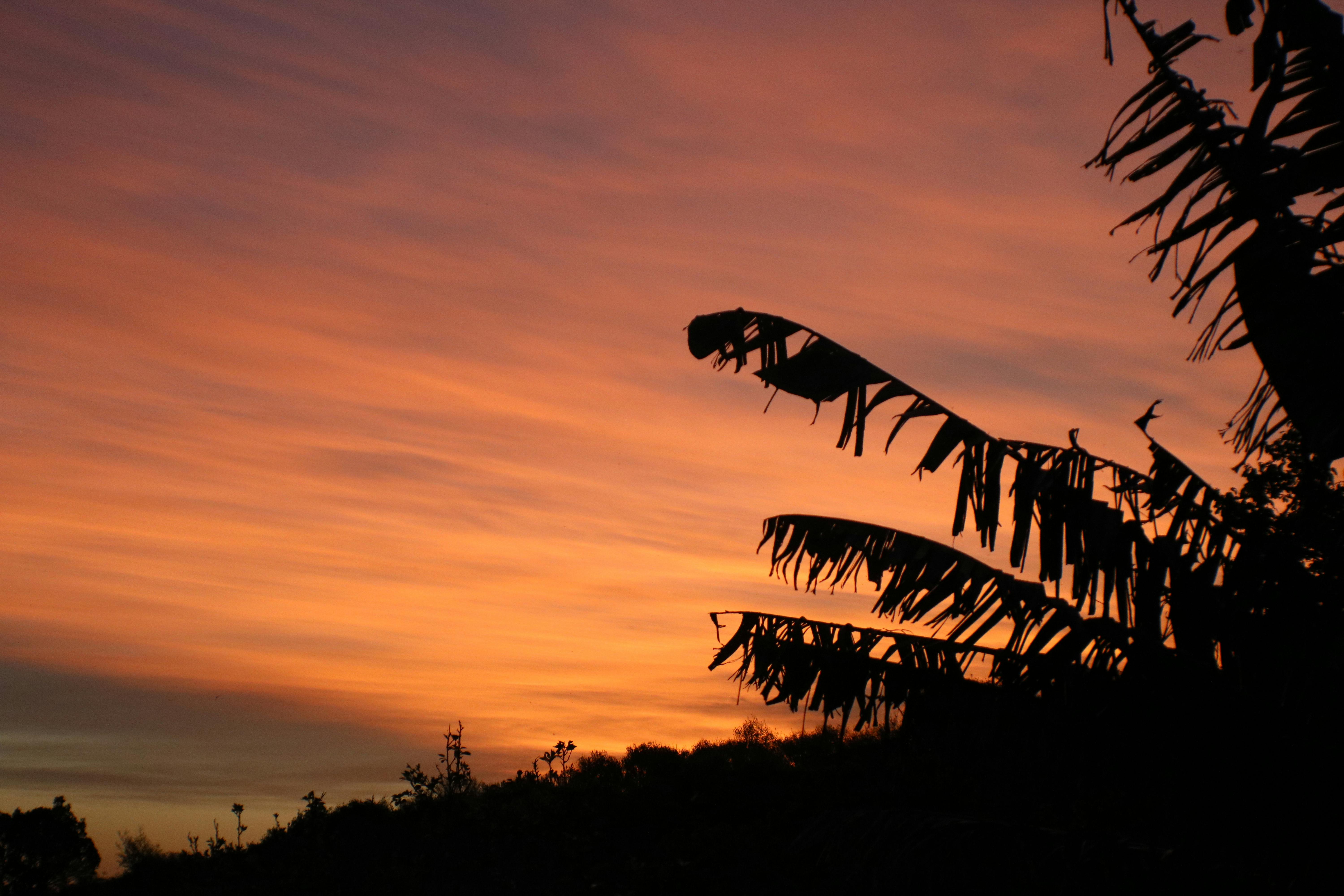 Colorful Sunset Sky · Free Stock Photo