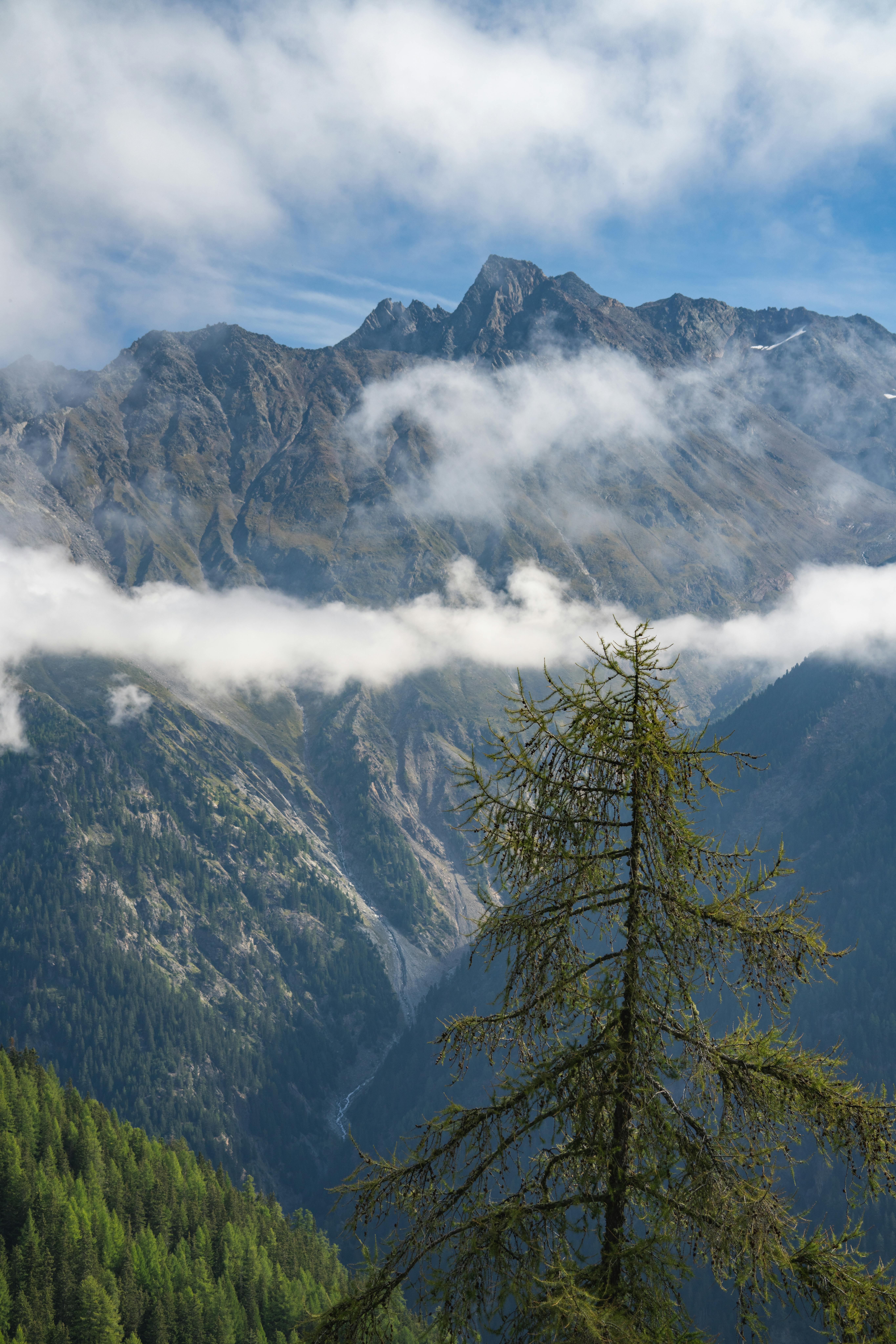 Massive rocky ridge with greenery · Free Stock Photo