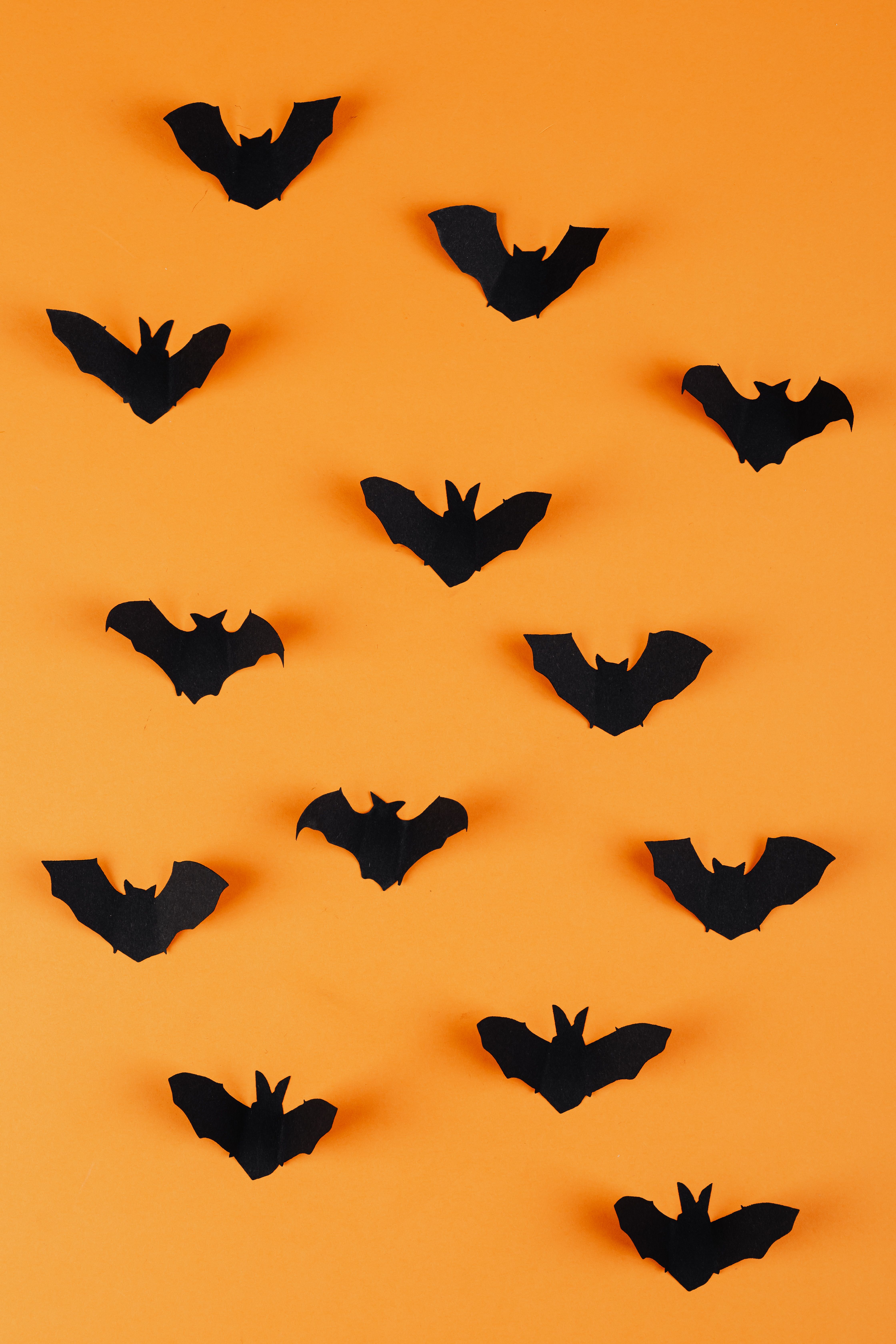 Bat Desktop Backgrounds Photos, Download The BEST Free Bat Desktop ...