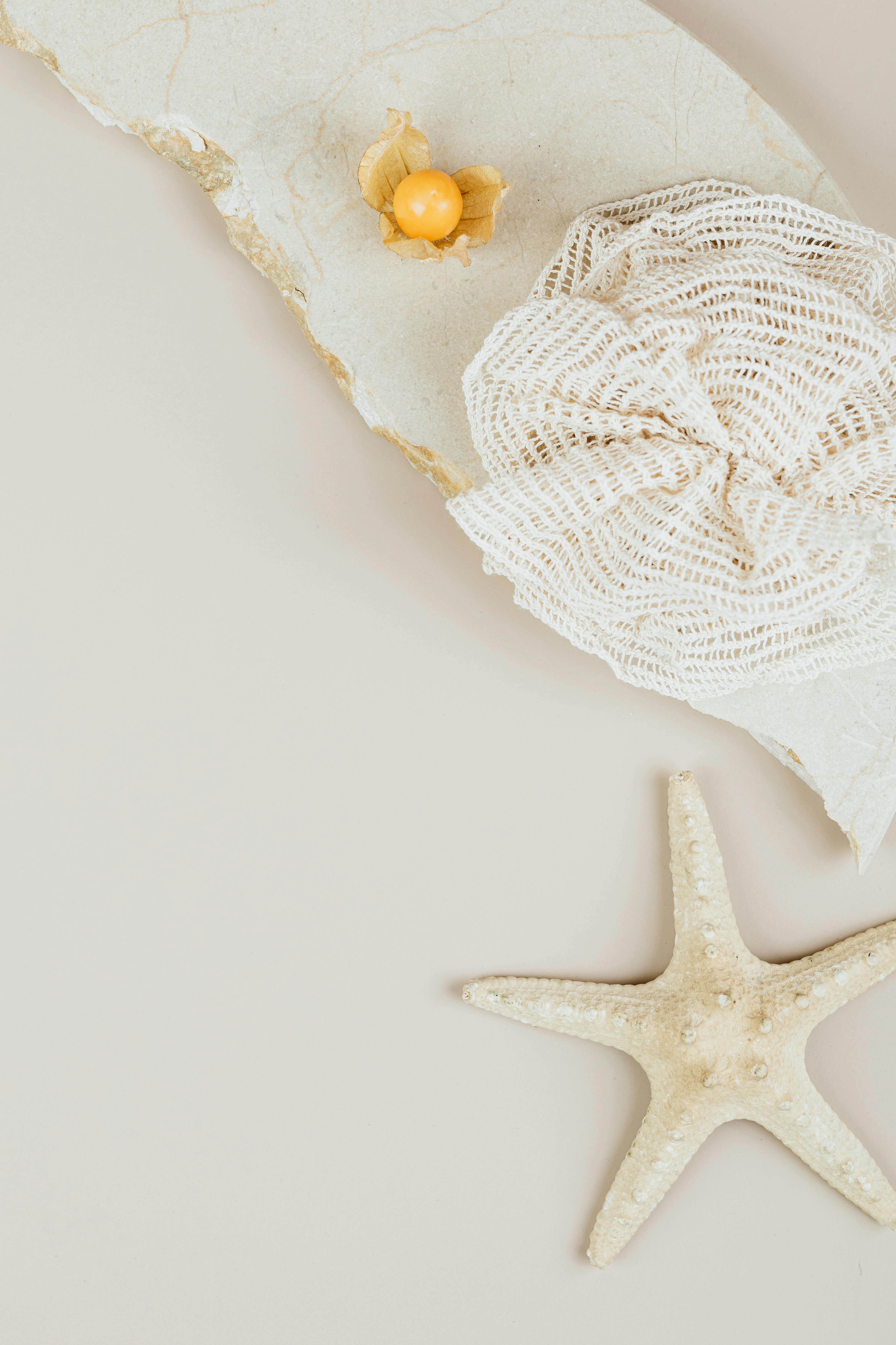 Unique Shell Pattern Photos, Download The BEST Free Unique Shell ...