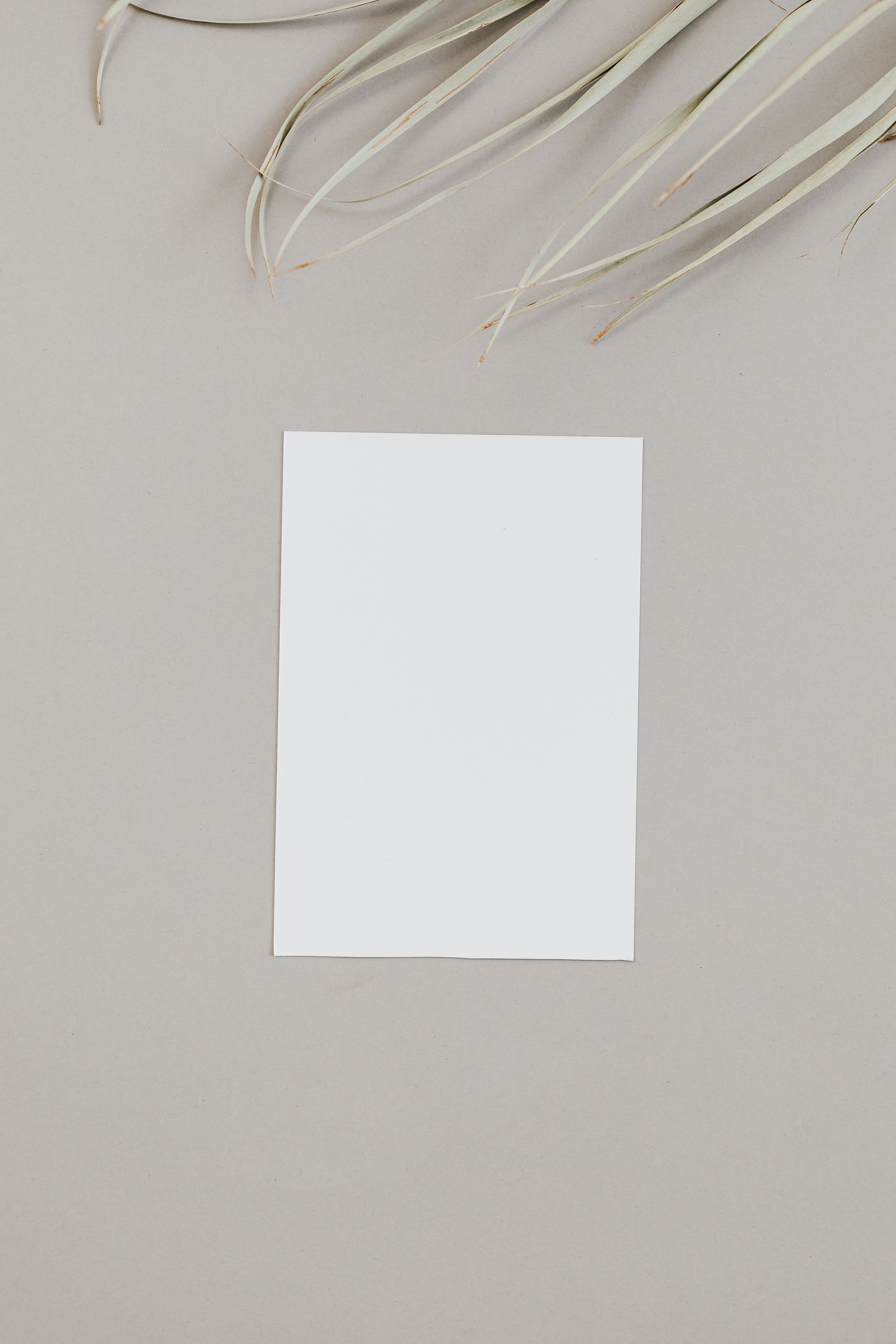 Background Templates Photos, Download The BEST Free Background ...