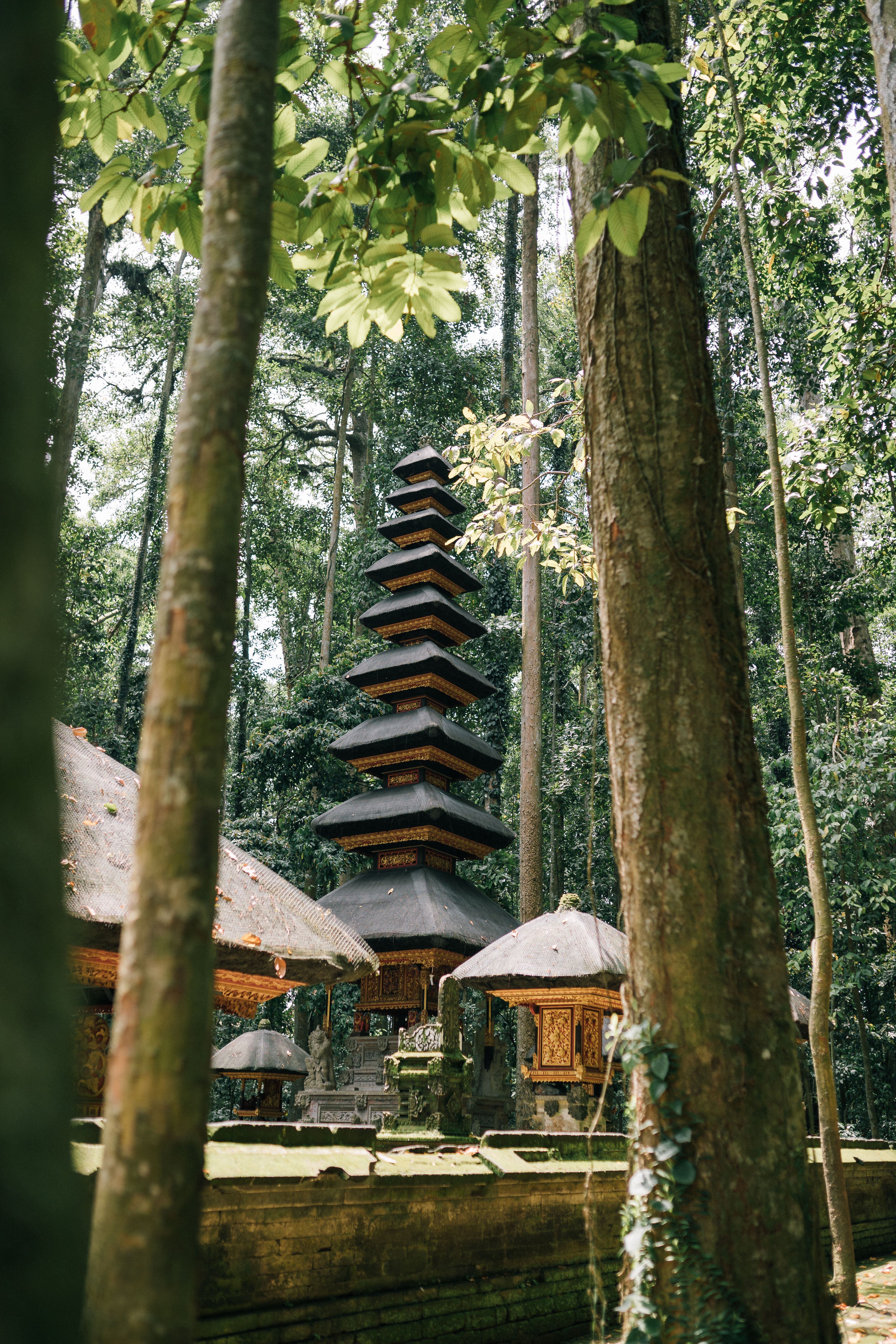 Temple In Forest Photos, Download The BEST Free Temple In Forest Stock ...