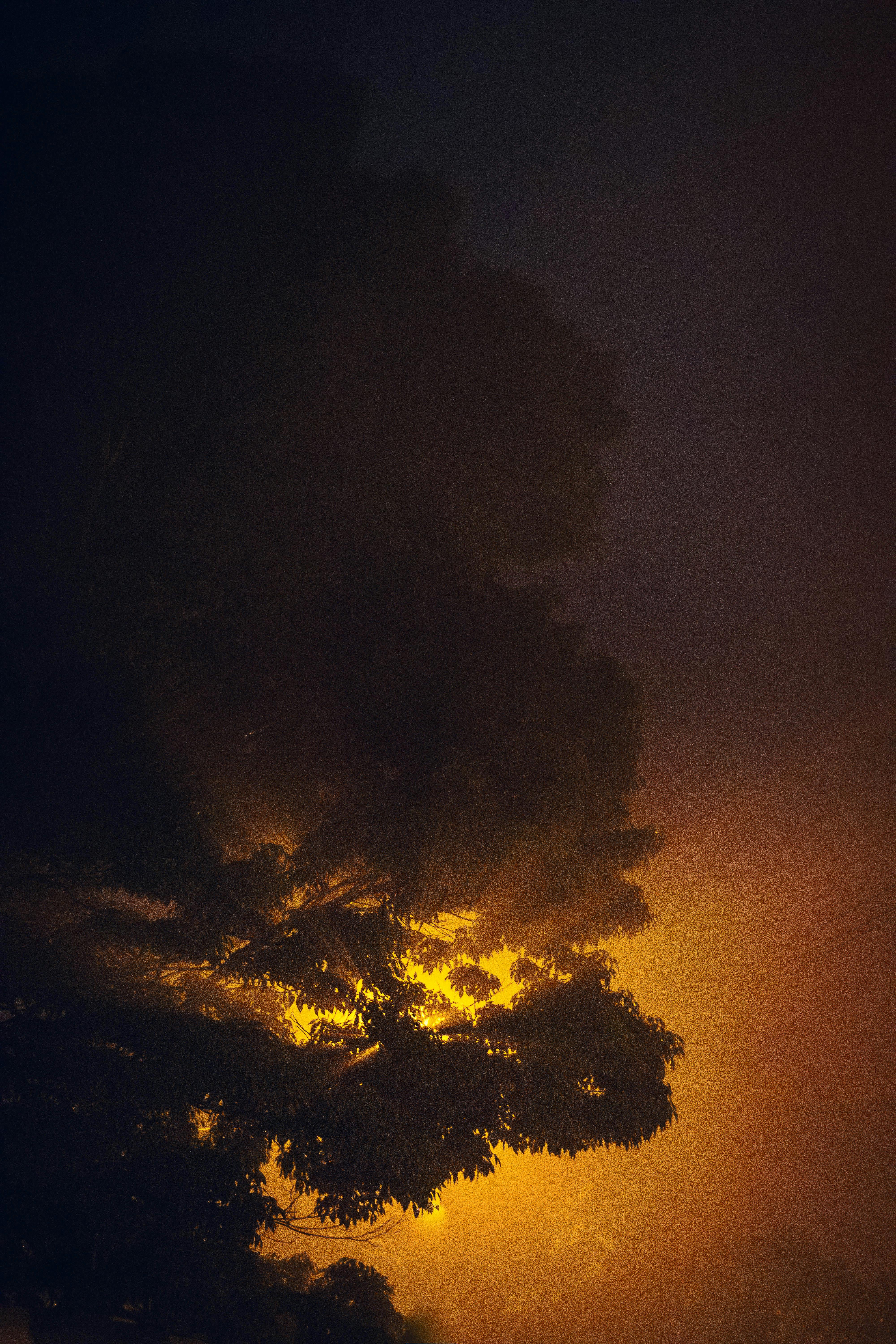 Sun Behind Tree Branches · Free Stock Photo