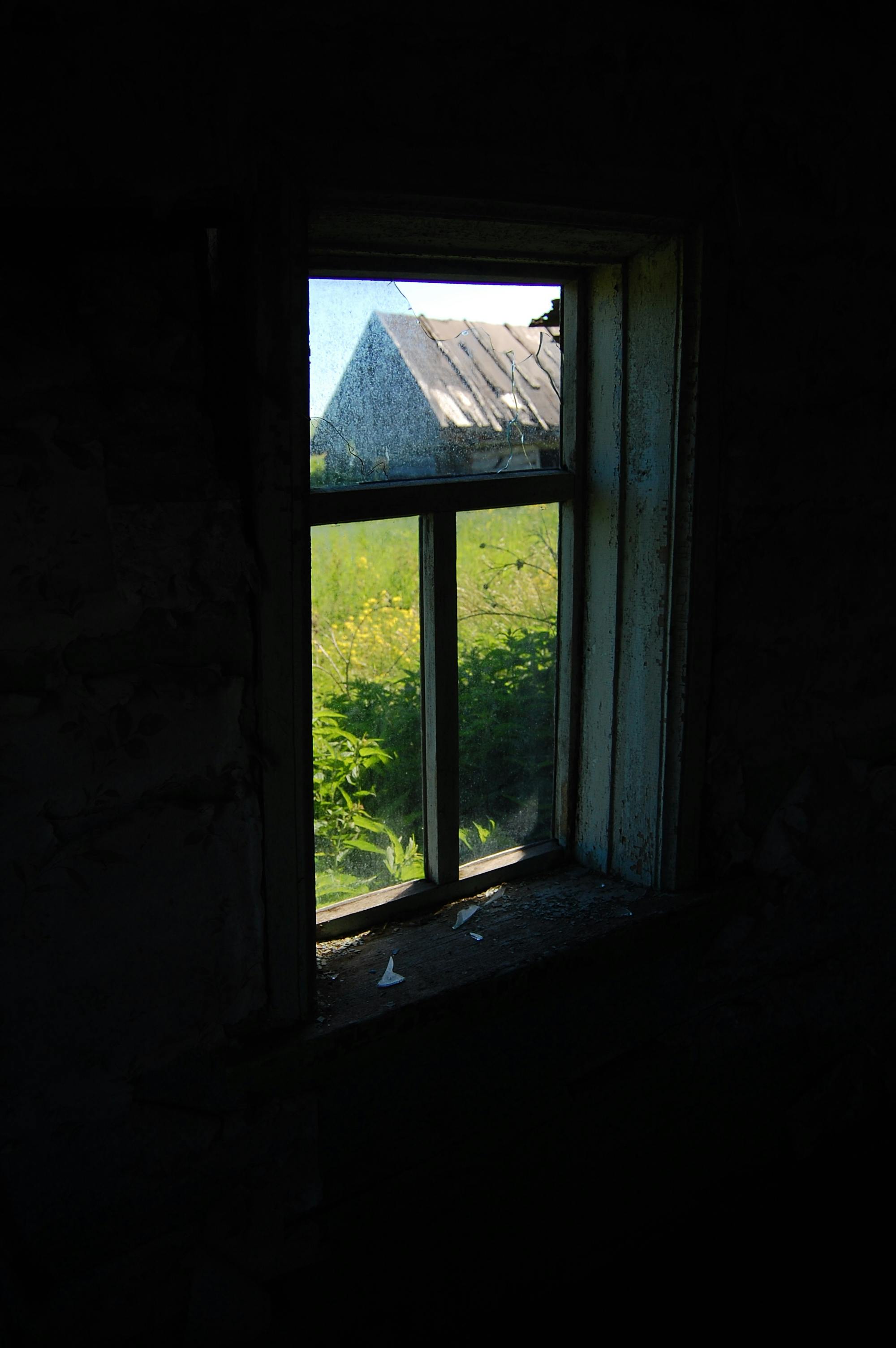 Windows 7 Grass Wallpaper Photos, Download The BEST Free Windows 7 ...