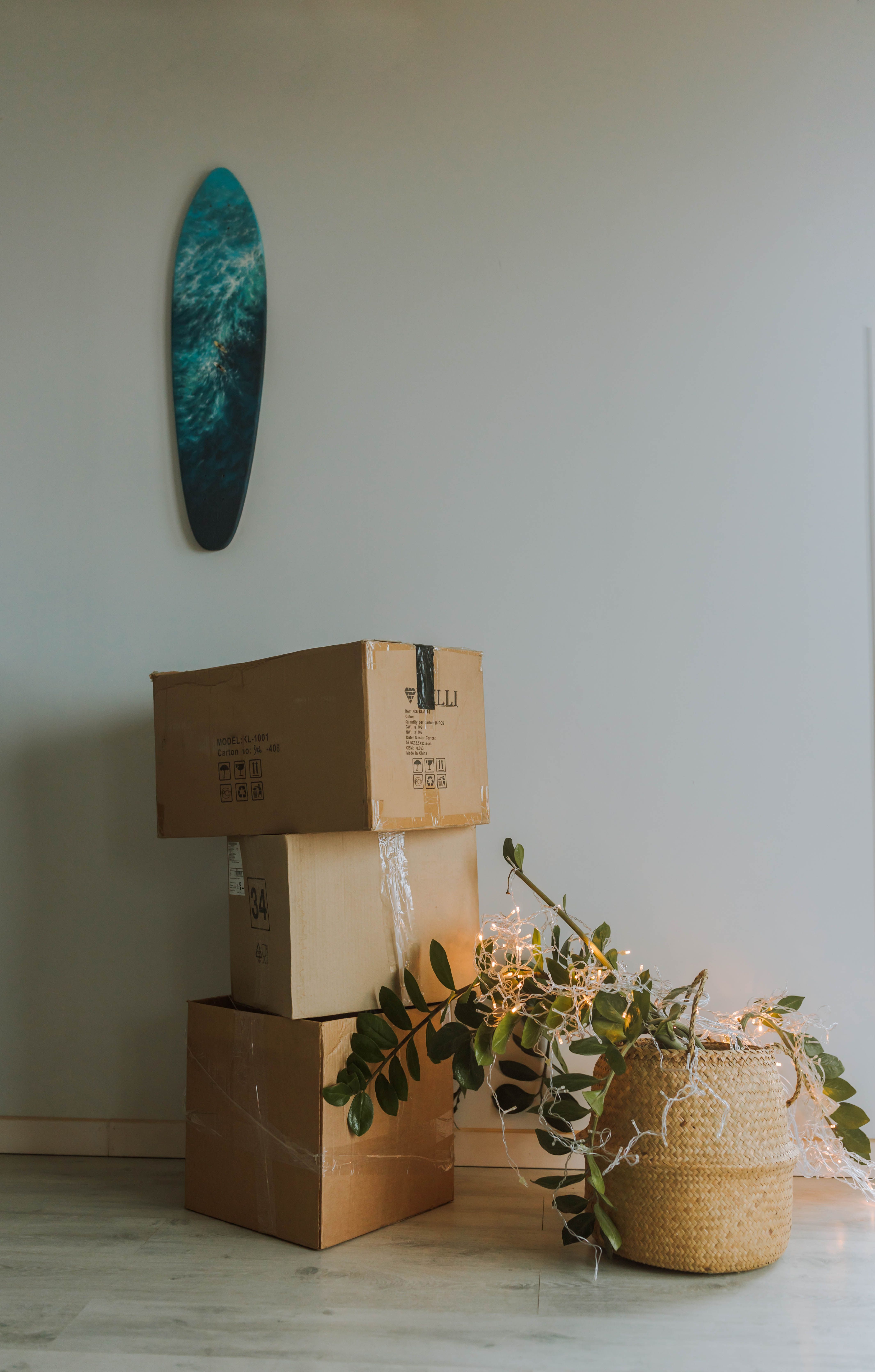 Wrapped Plant Photos, Download The BEST Free Wrapped Plant Stock Photos ...