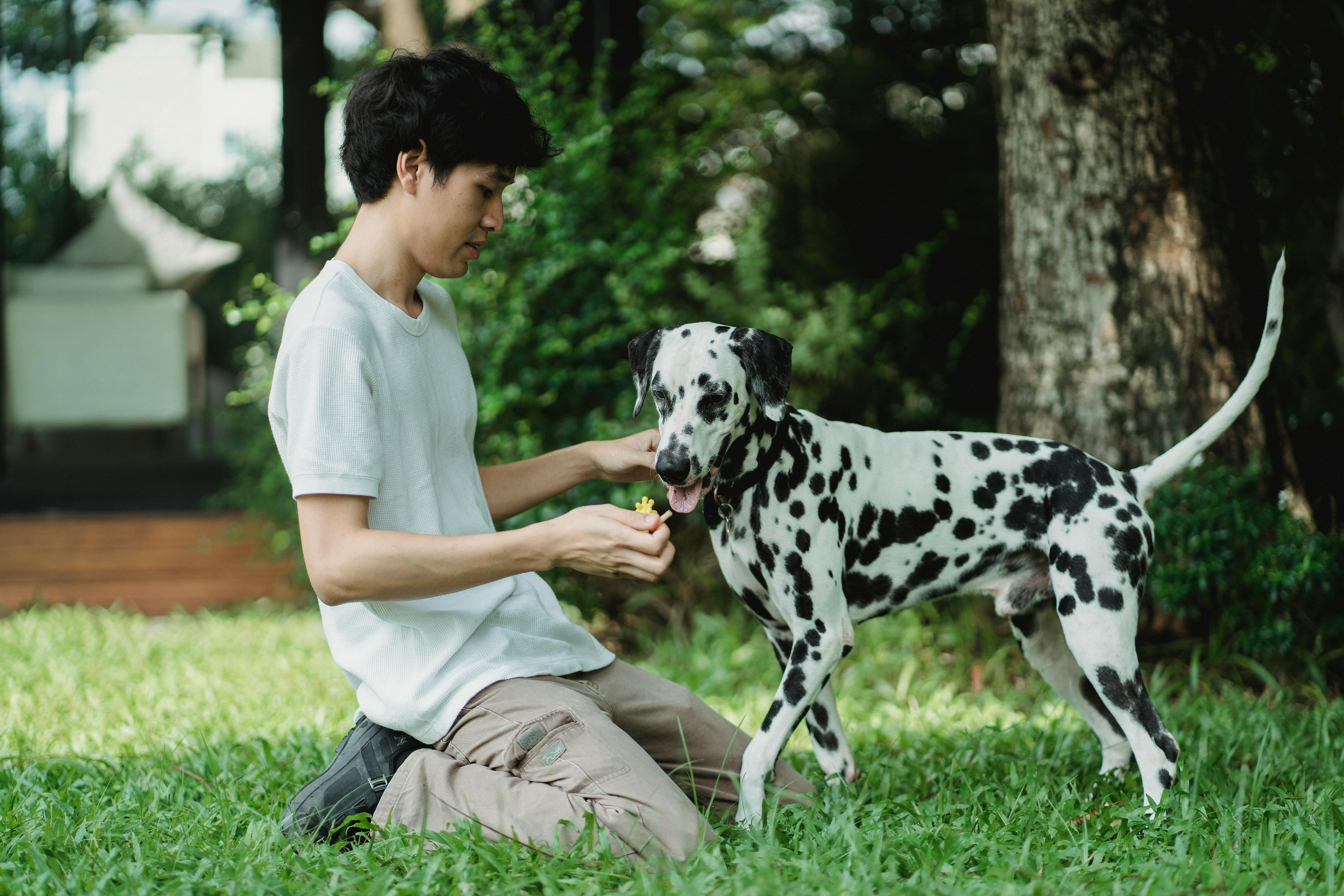 A Man Kneeling Beside His Dog · Free Stock Photo