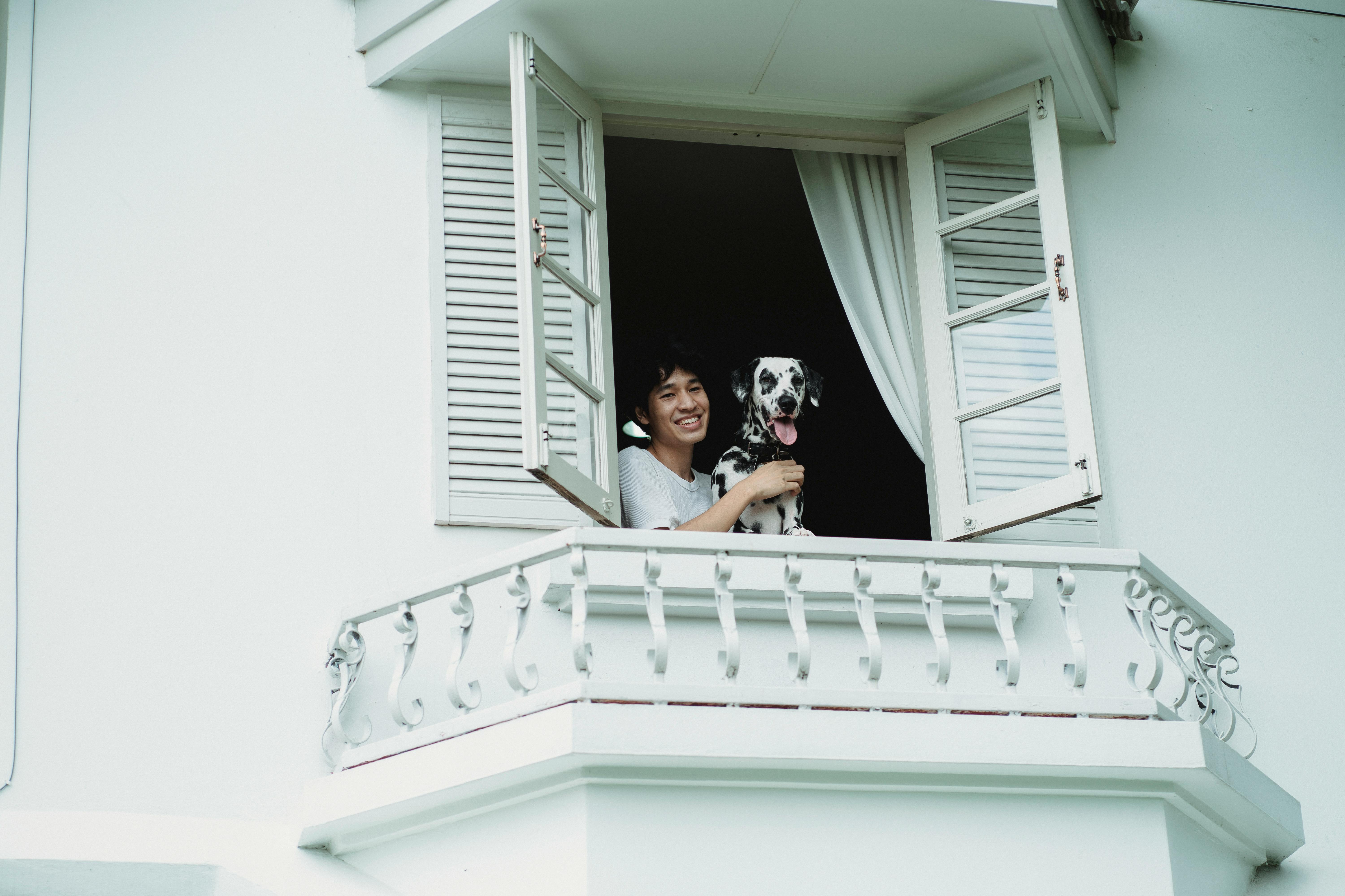 Man with Dalmatian Dog Looking Through Window · Free Stock Photo