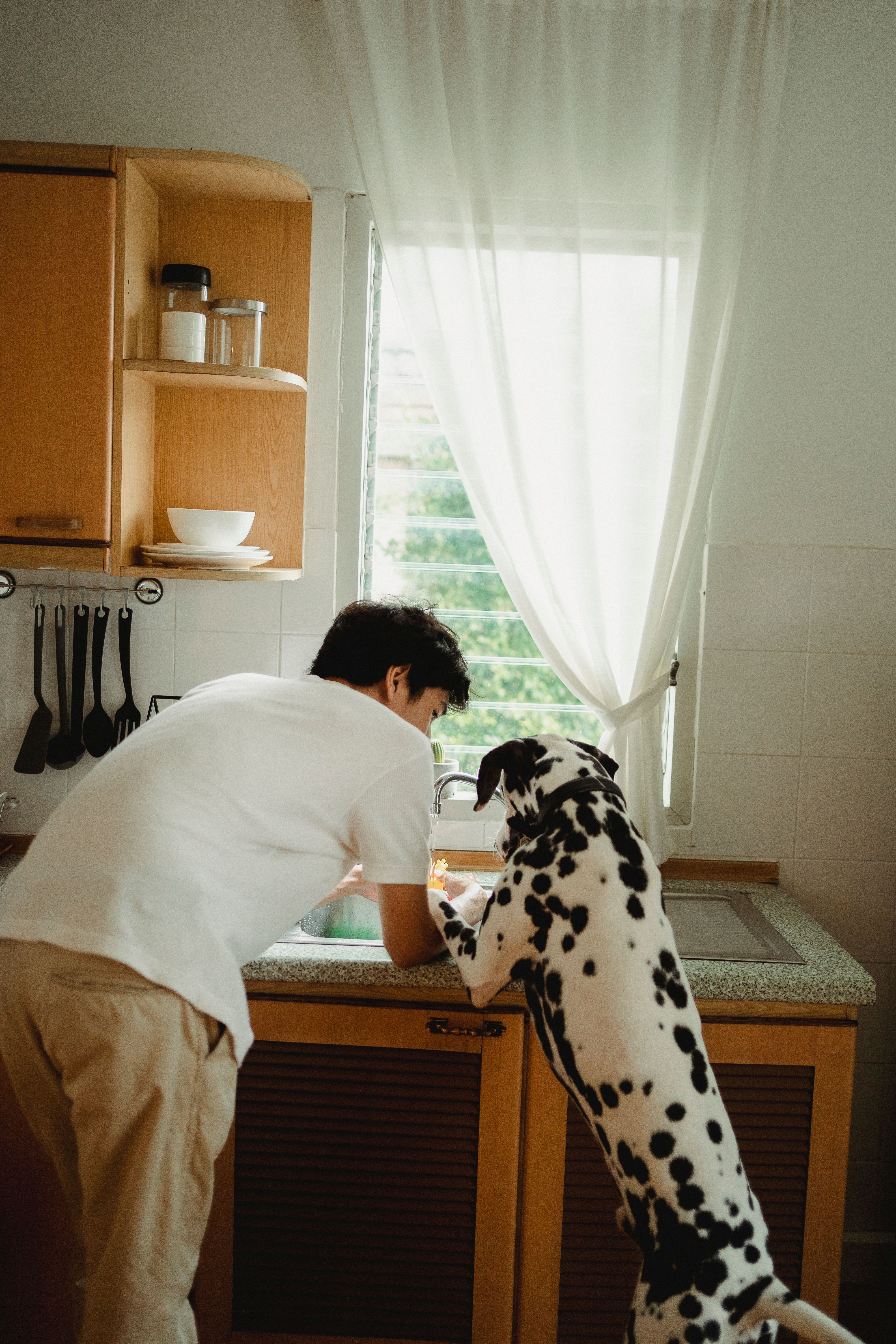 Discover the Magic of Kim's Kitchen: Your Ultimate Guide to Home-Cooked ...
