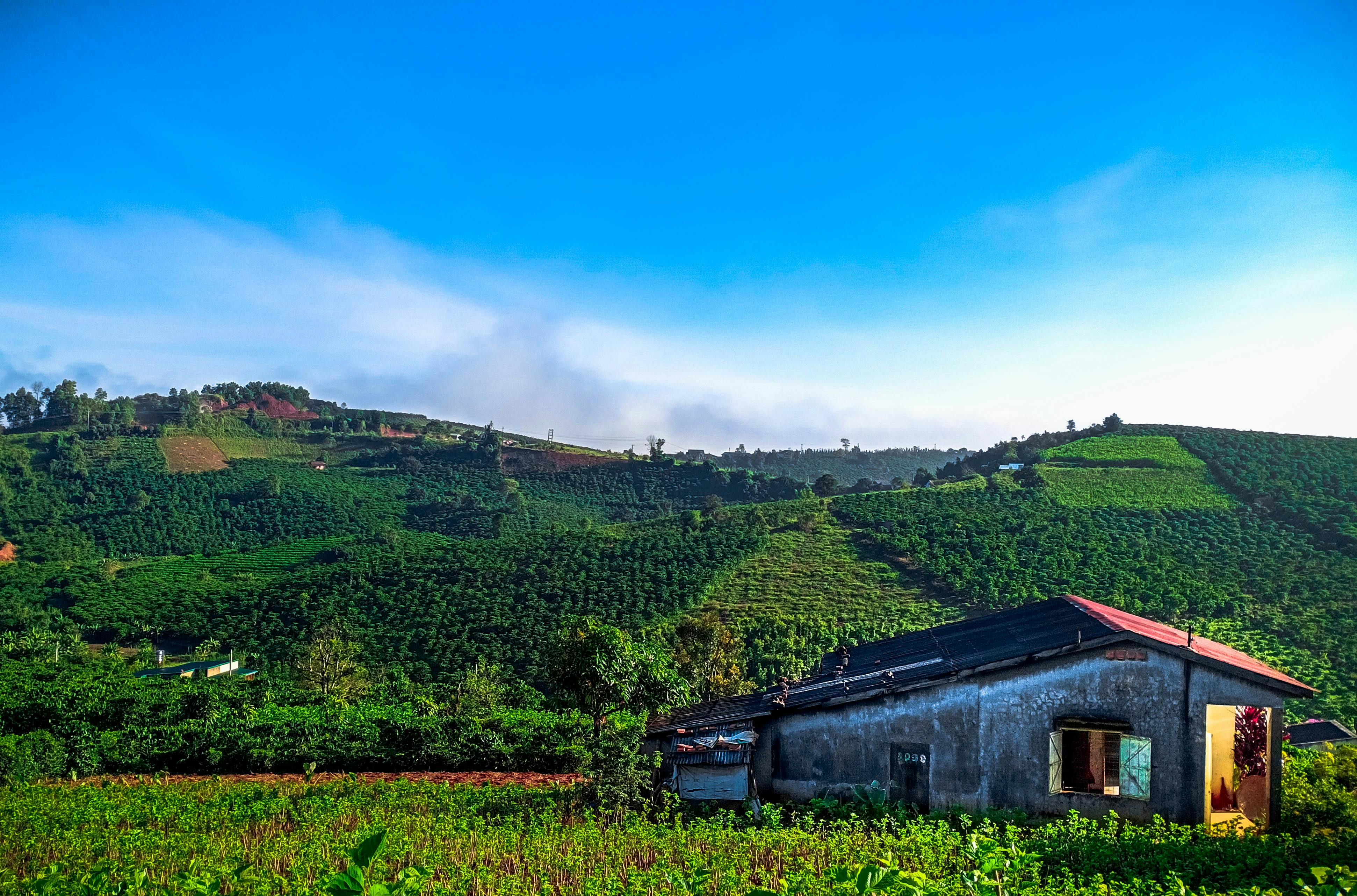 Rural Rolling Valley Landscape with Distant Mountains · Free Stock Photo