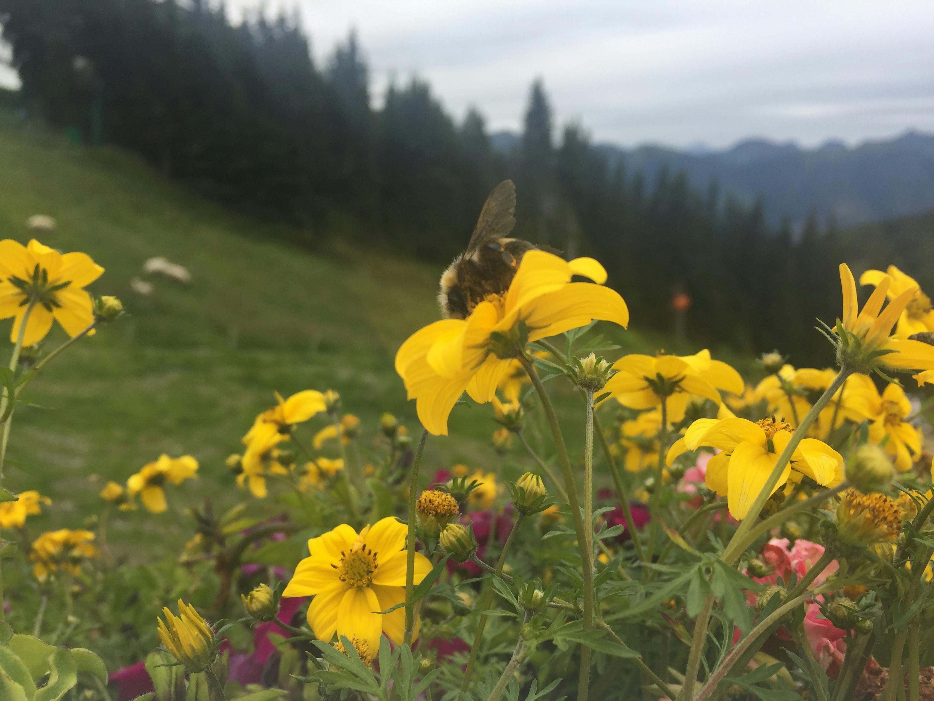 Ulf Schade - Fotografía