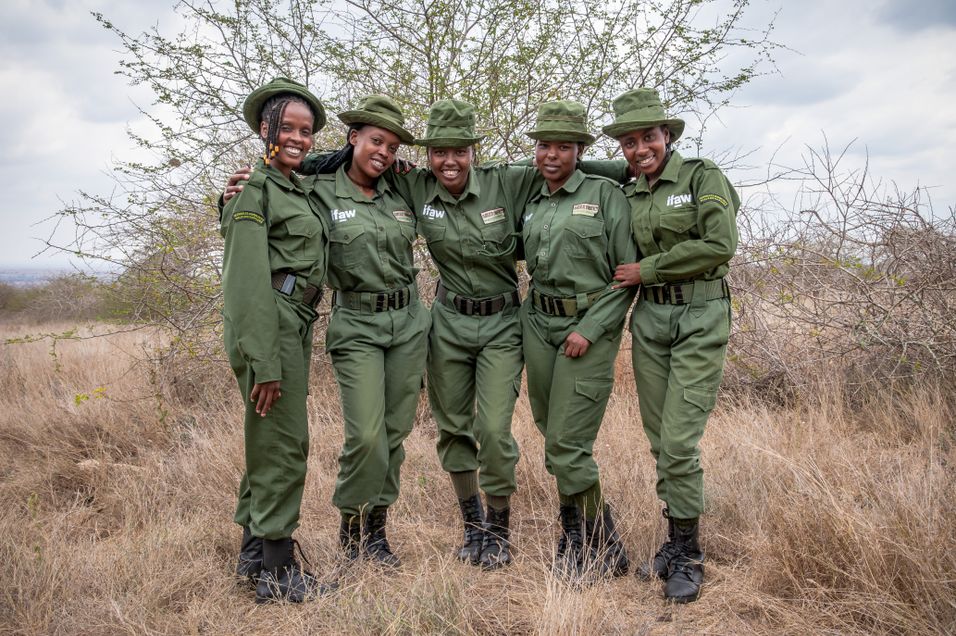 What is a wildlife rehabilitator? Become one today!