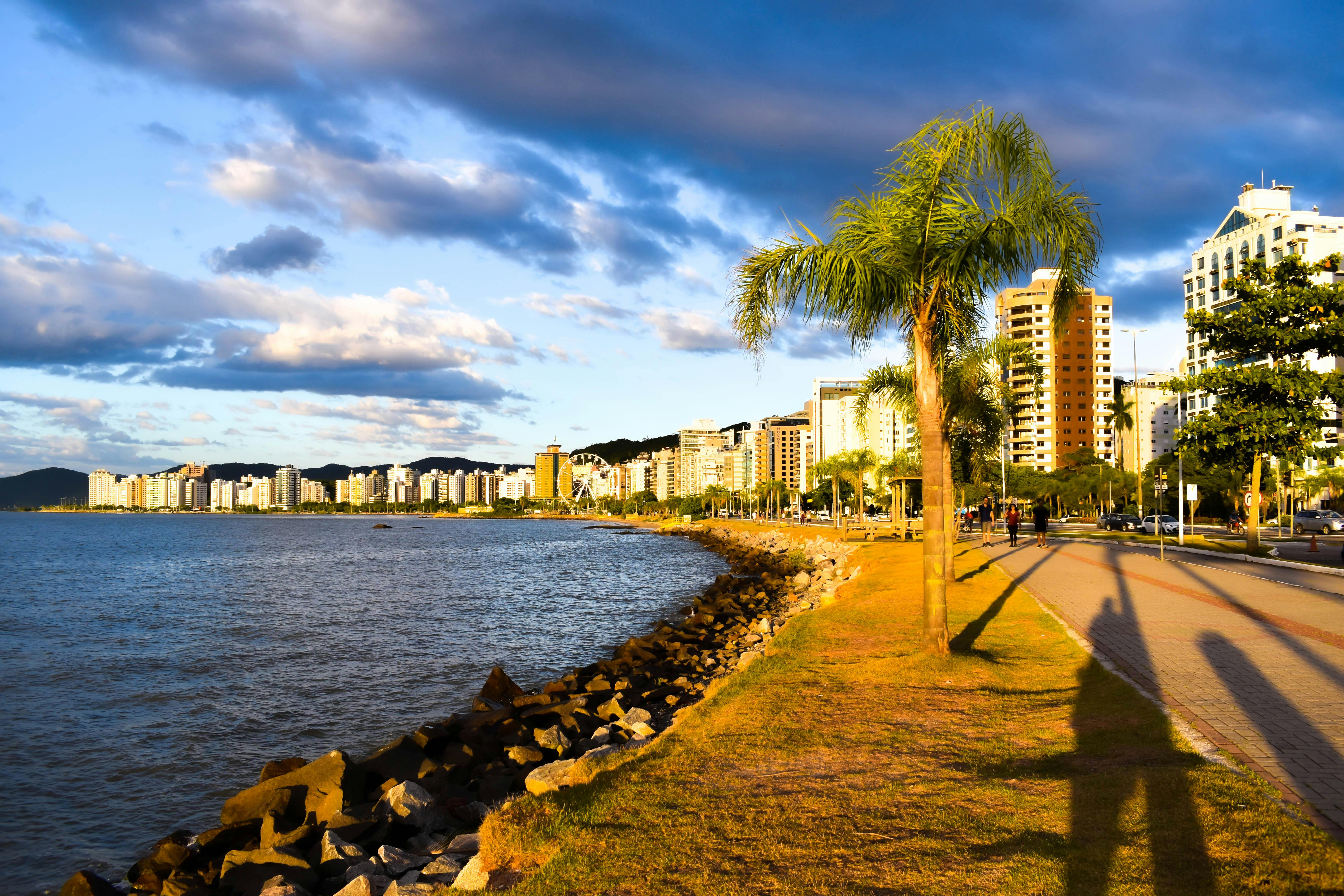 Oileum - Oil & Petroleum Services