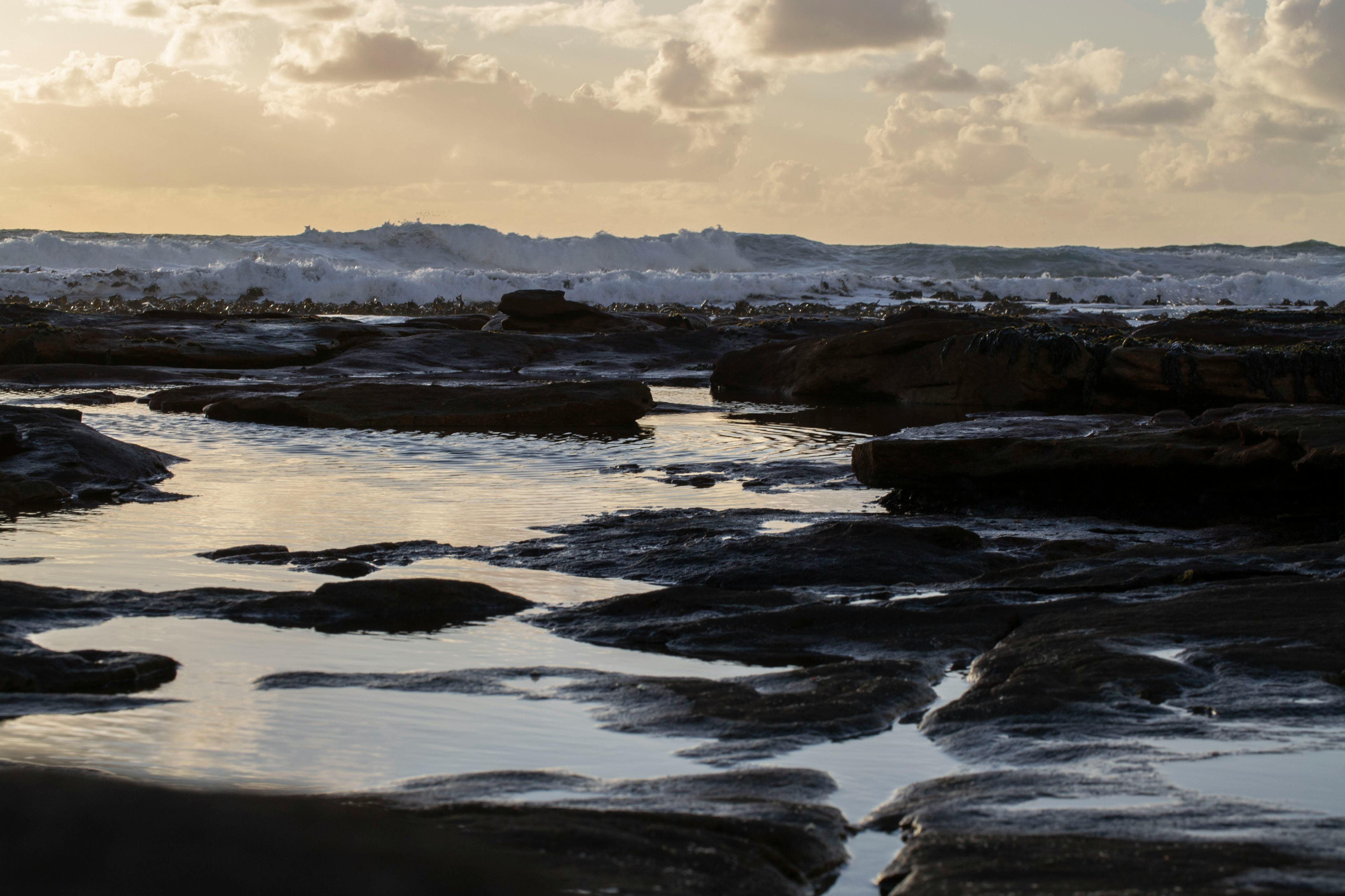 Landscape Photography of Seashore · Free Stock Photo