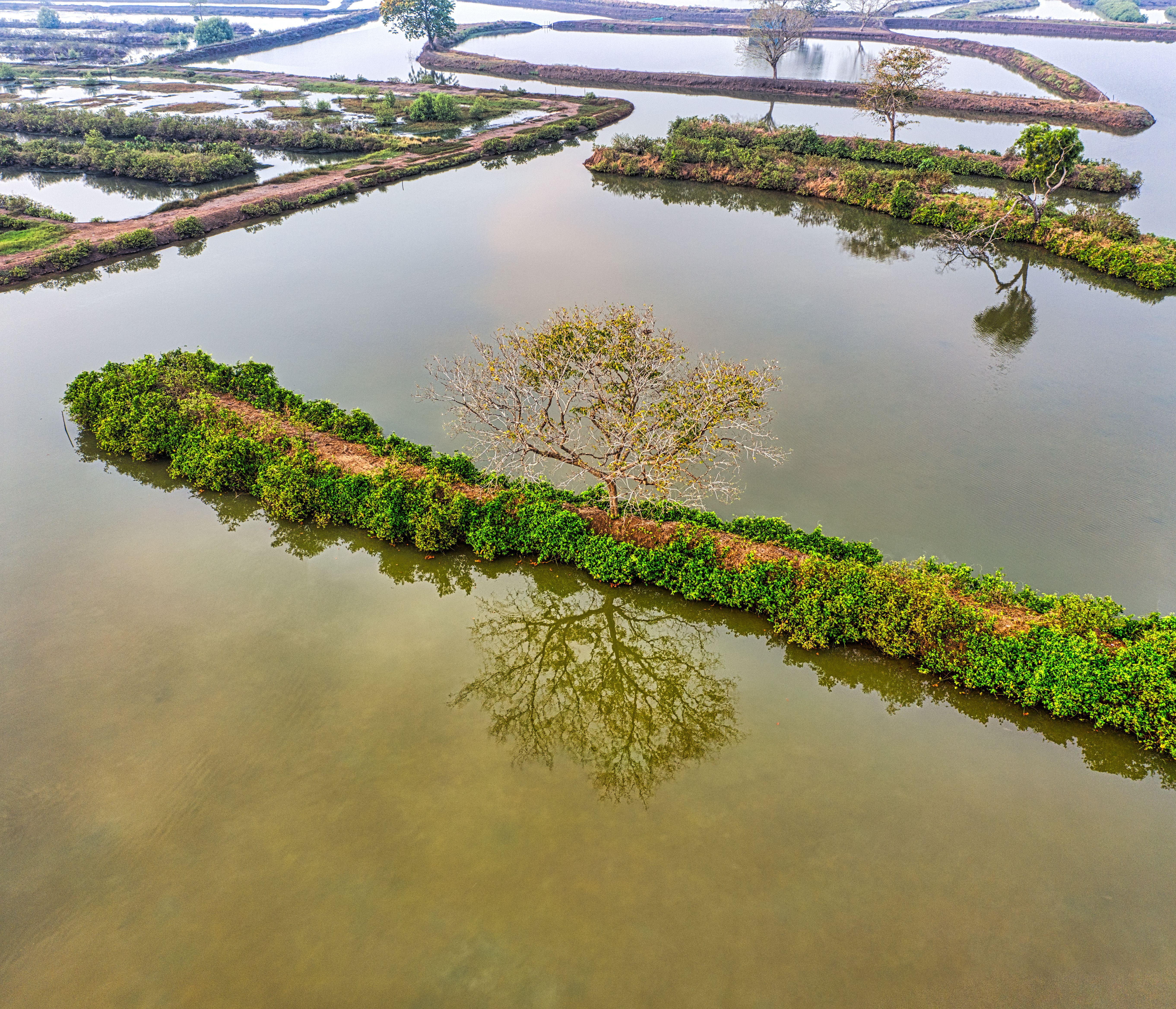 Birds Eye View of Fishponds · Free Stock Photo
