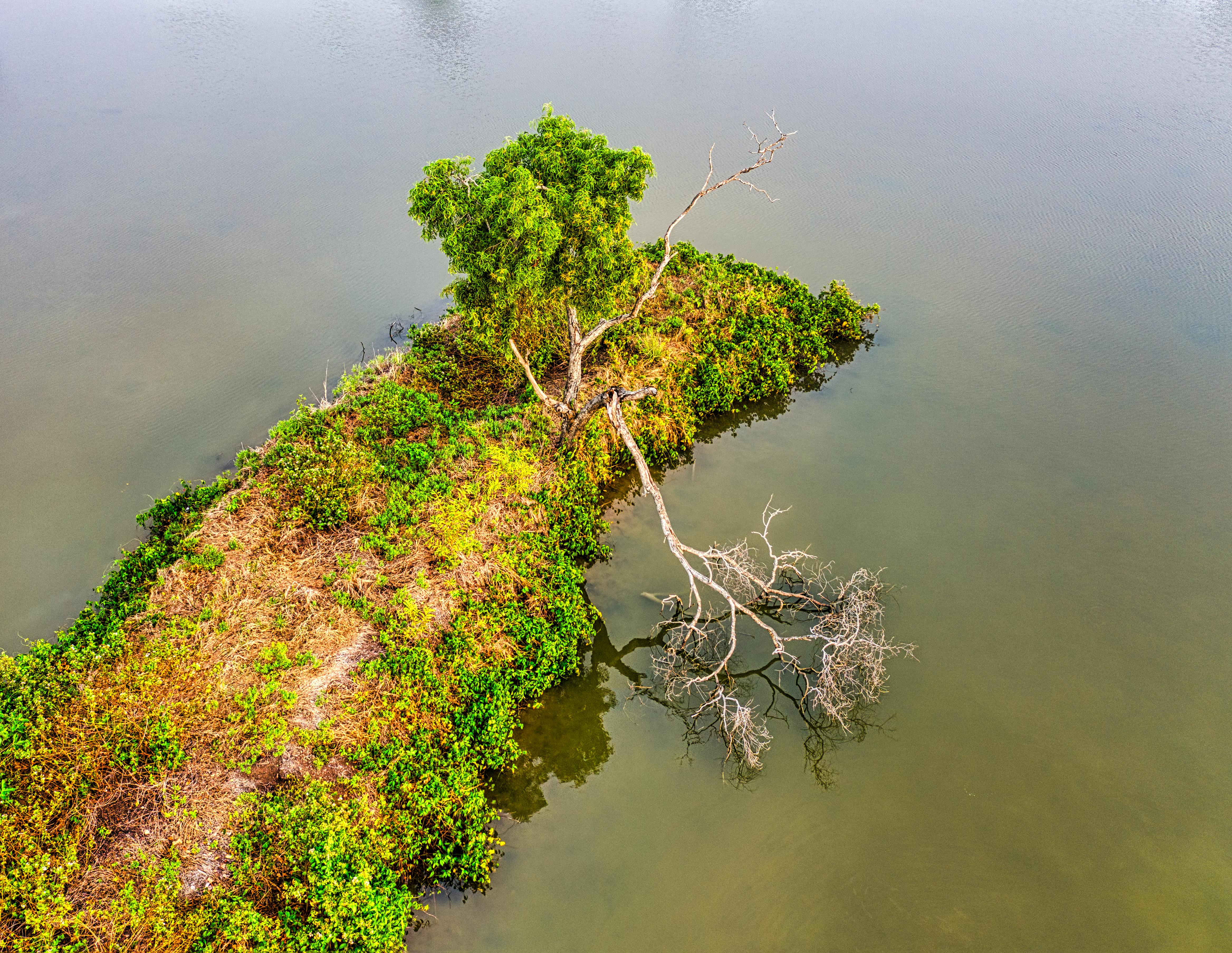 A Land on Body of Water · Free Stock Photo