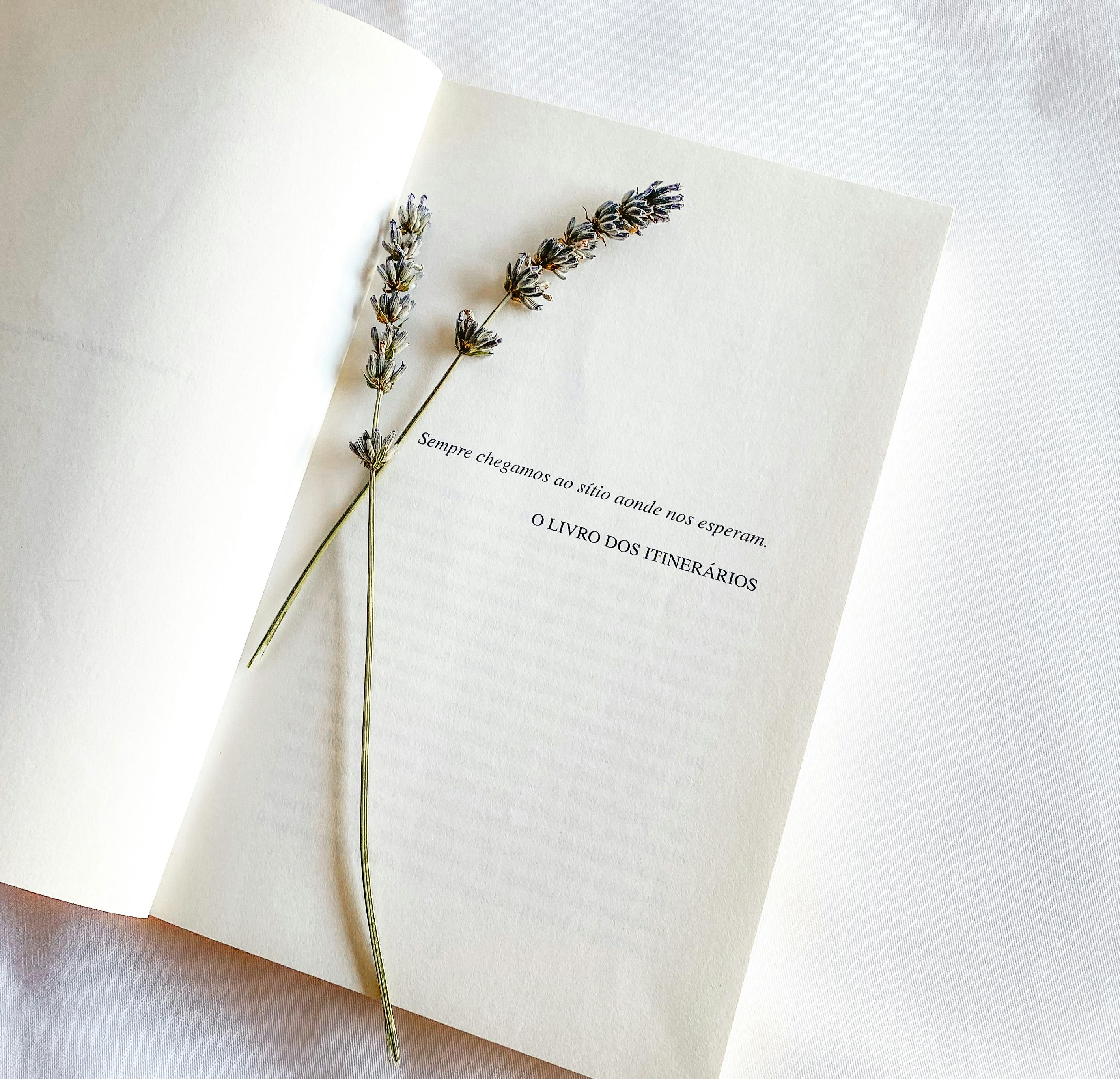 Dried Flowers on a Book Page · Free Stock Photo