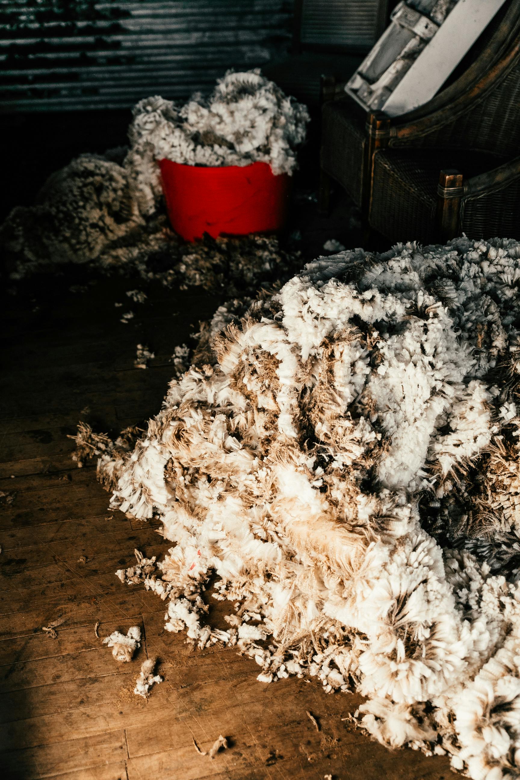 Piles of fluffy wool on floor against fence · Free Stock Photo