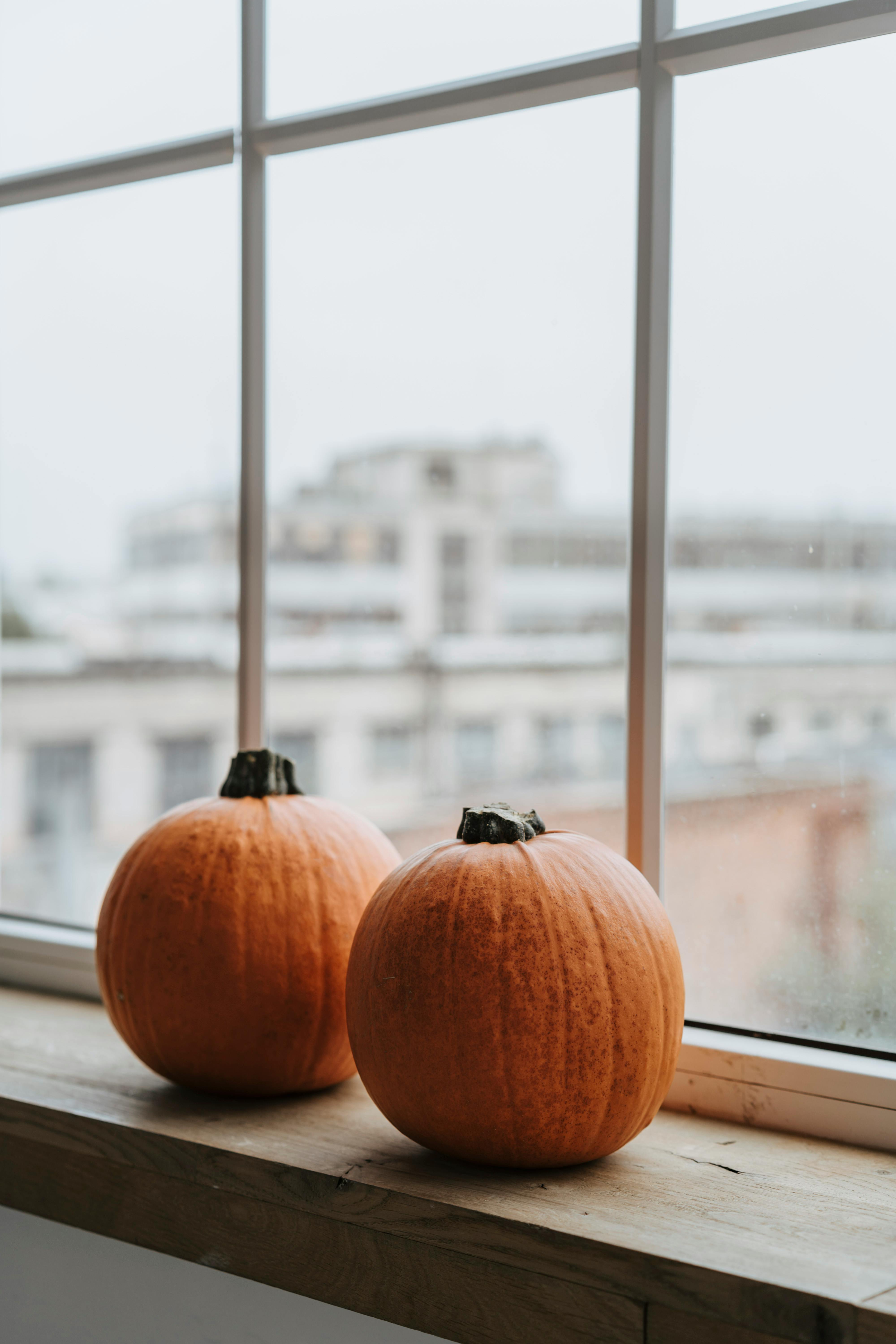 Pumpkins on a Window Sill · Free Stock Photo