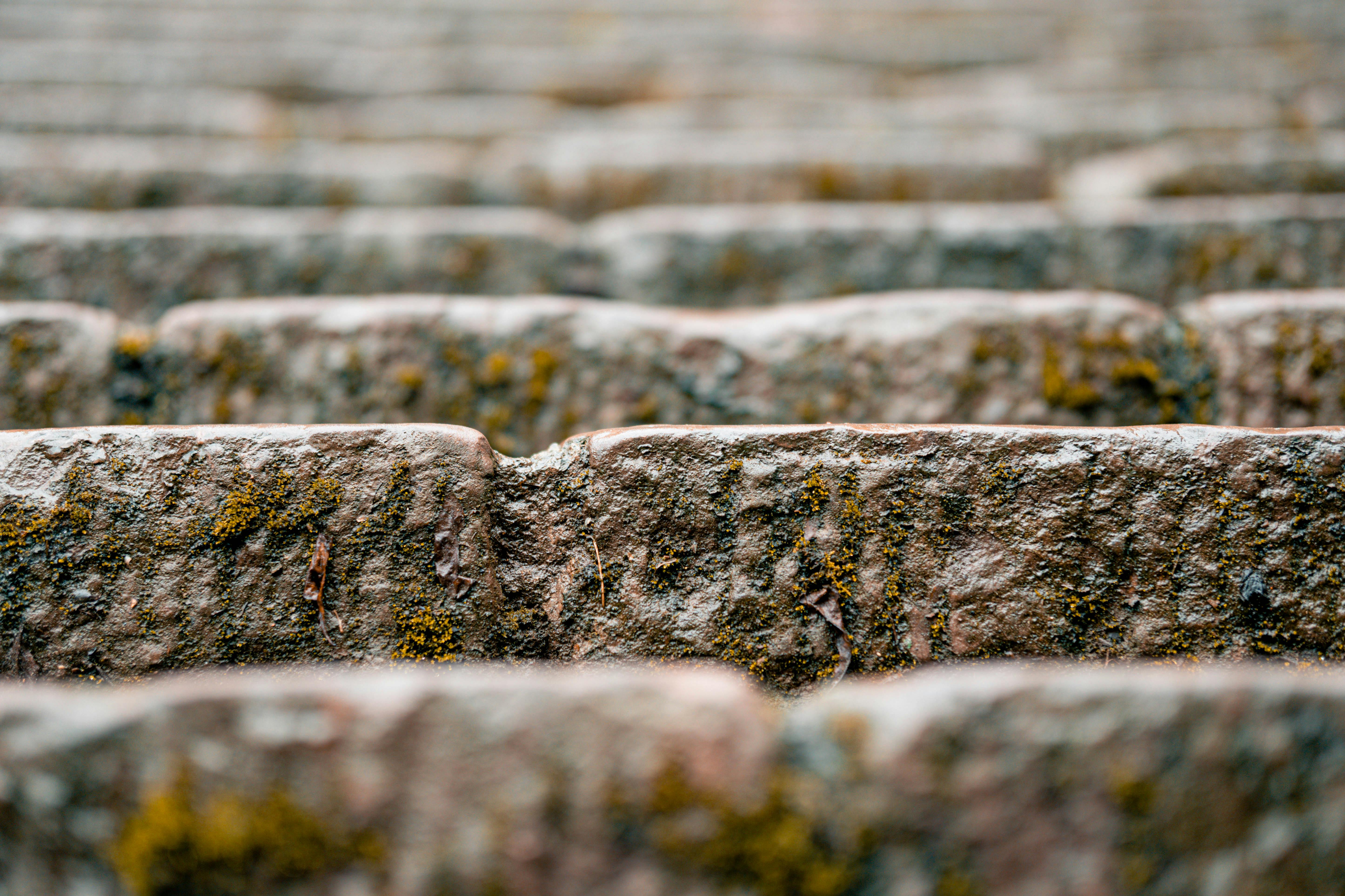 Close-Up Shot of Mossy Rocks · Free Stock Photo