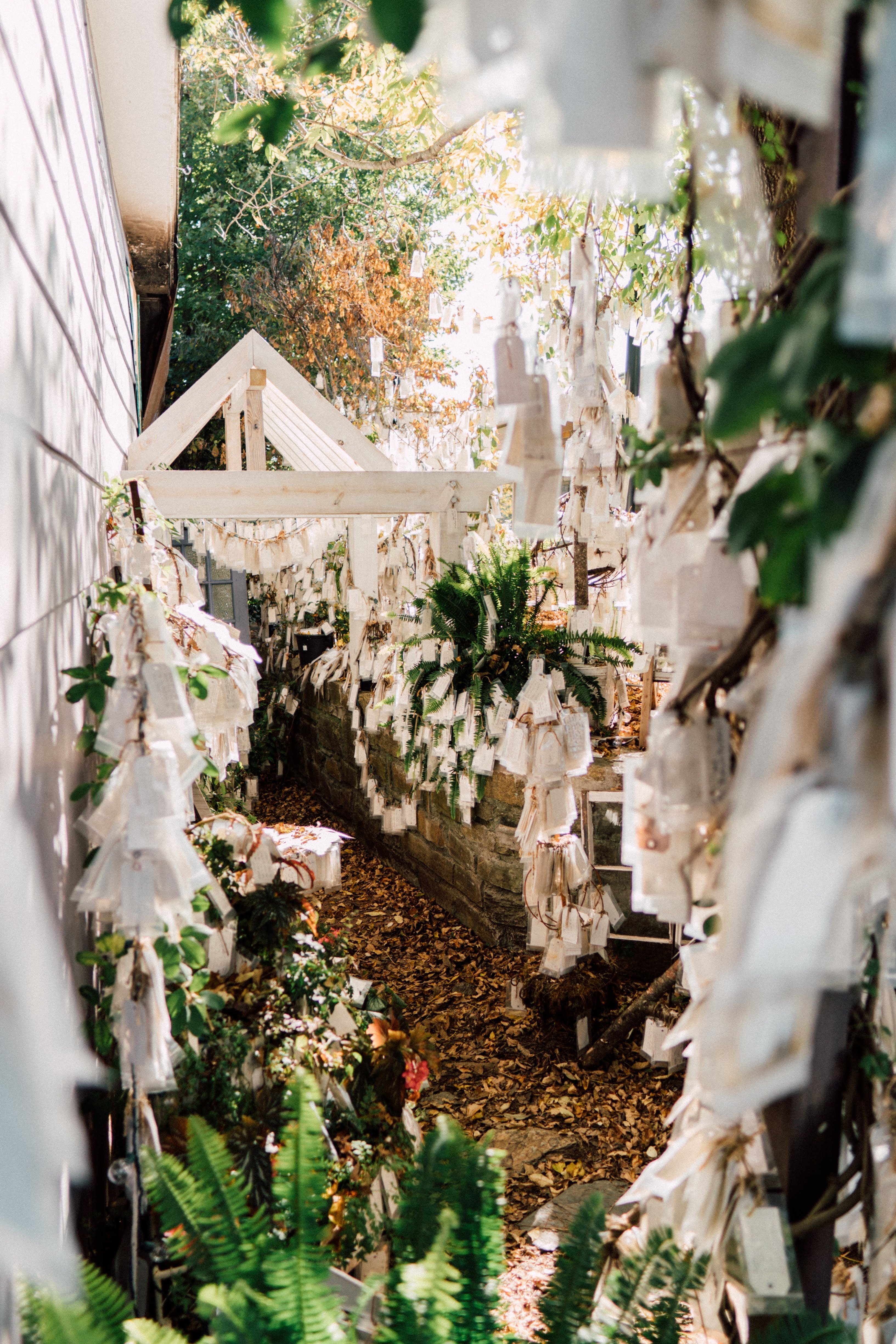 Photo of a Garden with a Paper Decoration · Free Stock Photo