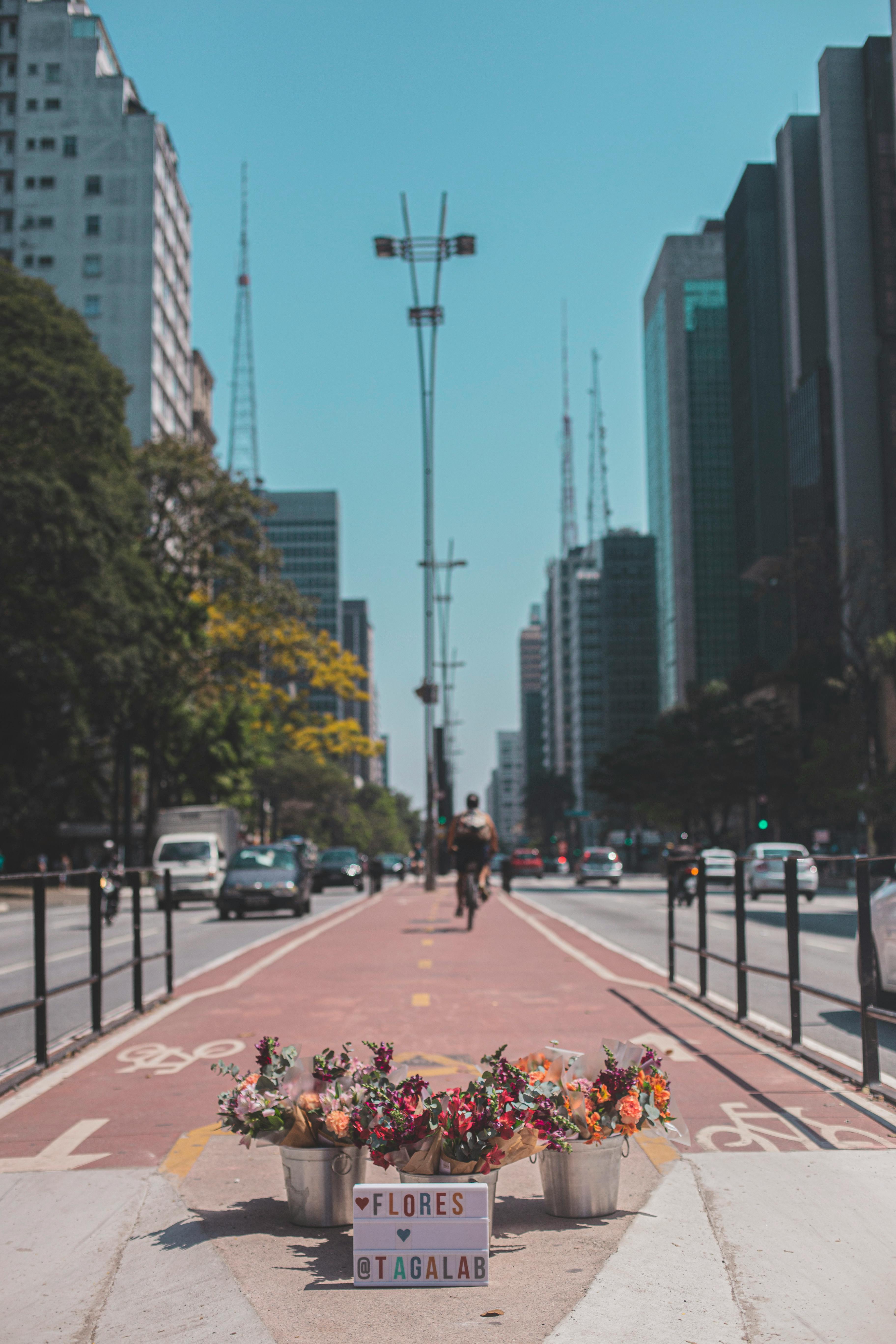 Flowers on the Street · Free Stock Photo