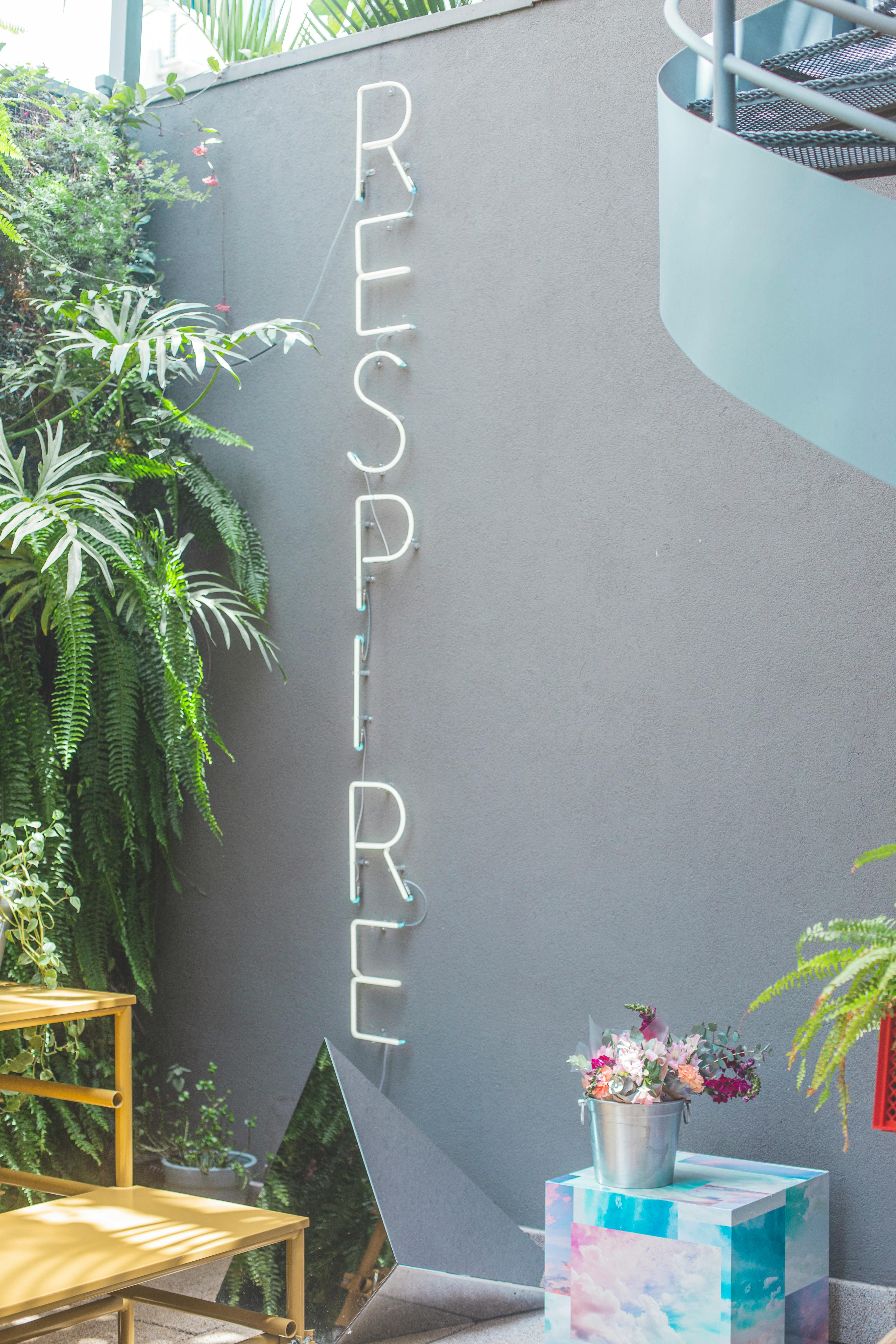 Neon Letters Signage on the Wall · Free Stock Photo