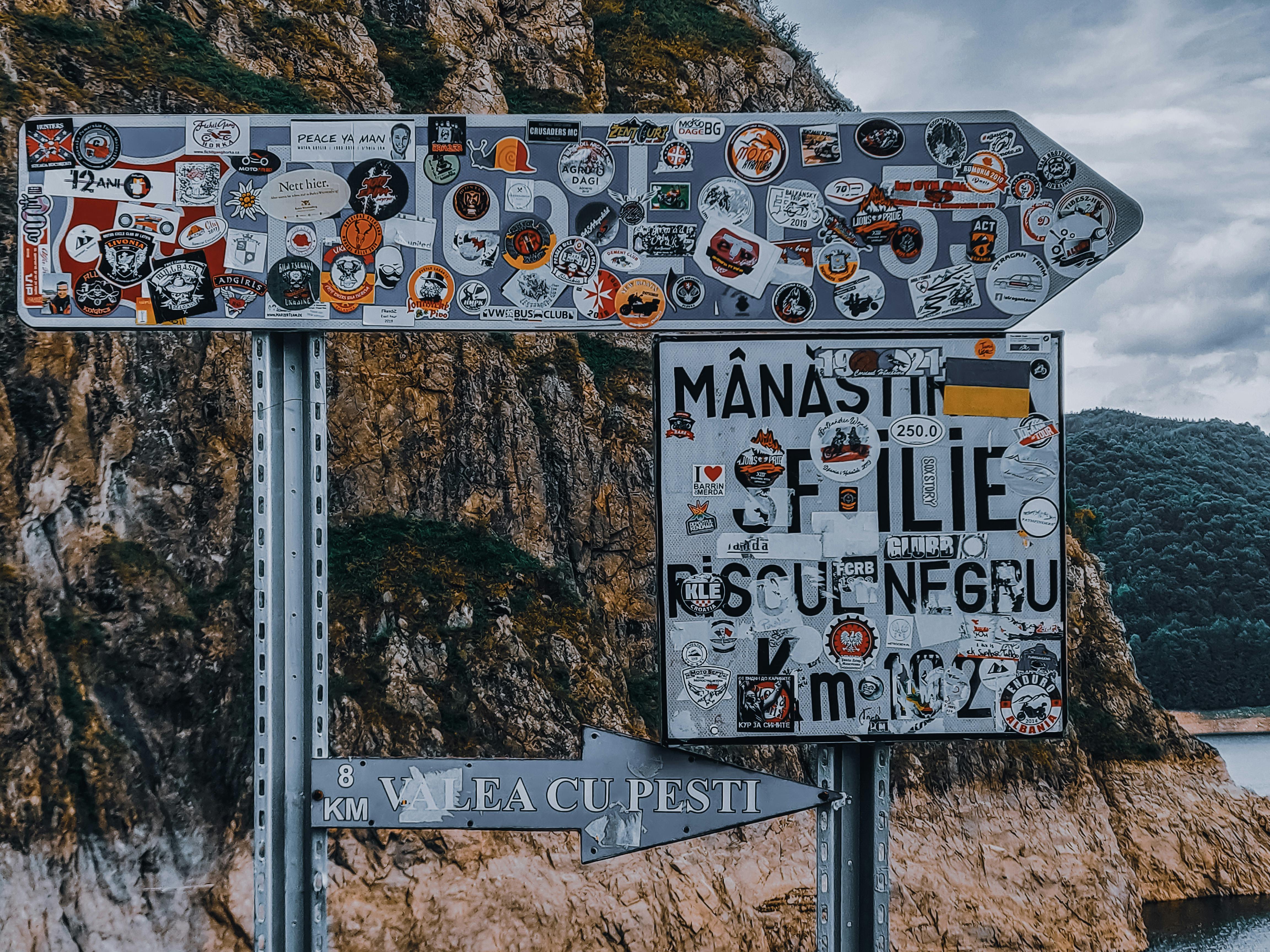 Pesty Photos, Download The BEST Free Pesty Stock Photos & HD Images