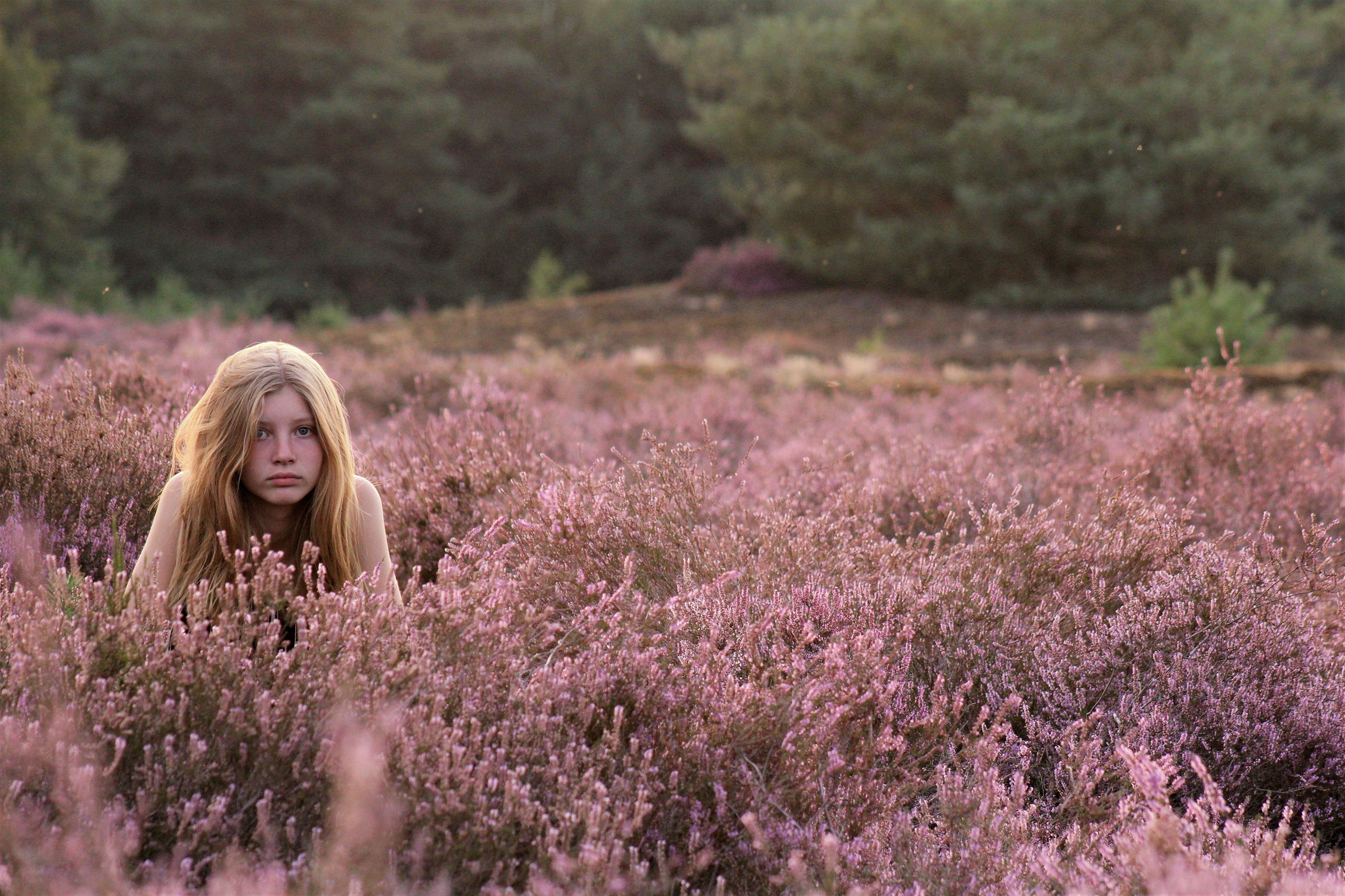 A Girl Sitting on a Flower Field · Free Stock Photo