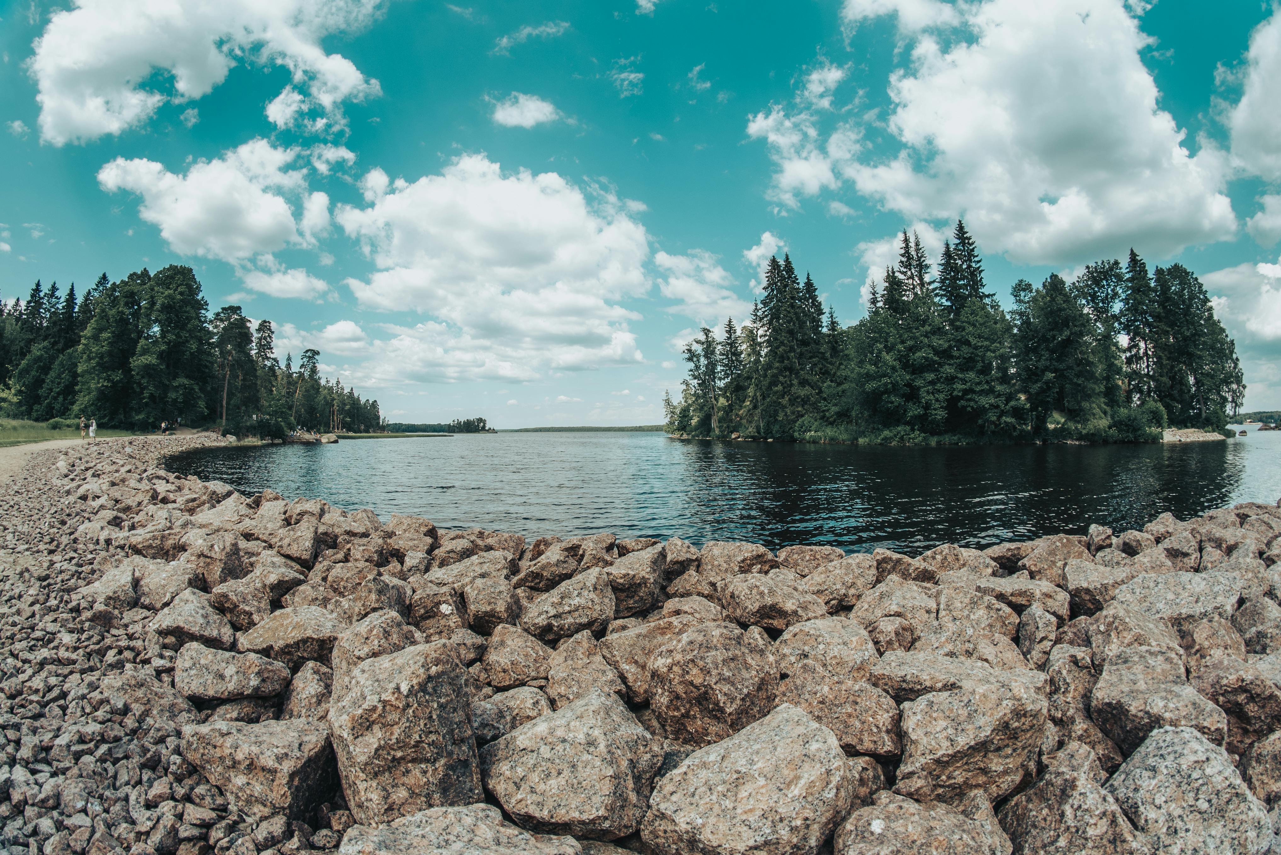 Light blue sky with clouds over pond among plants · Free Stock Photo