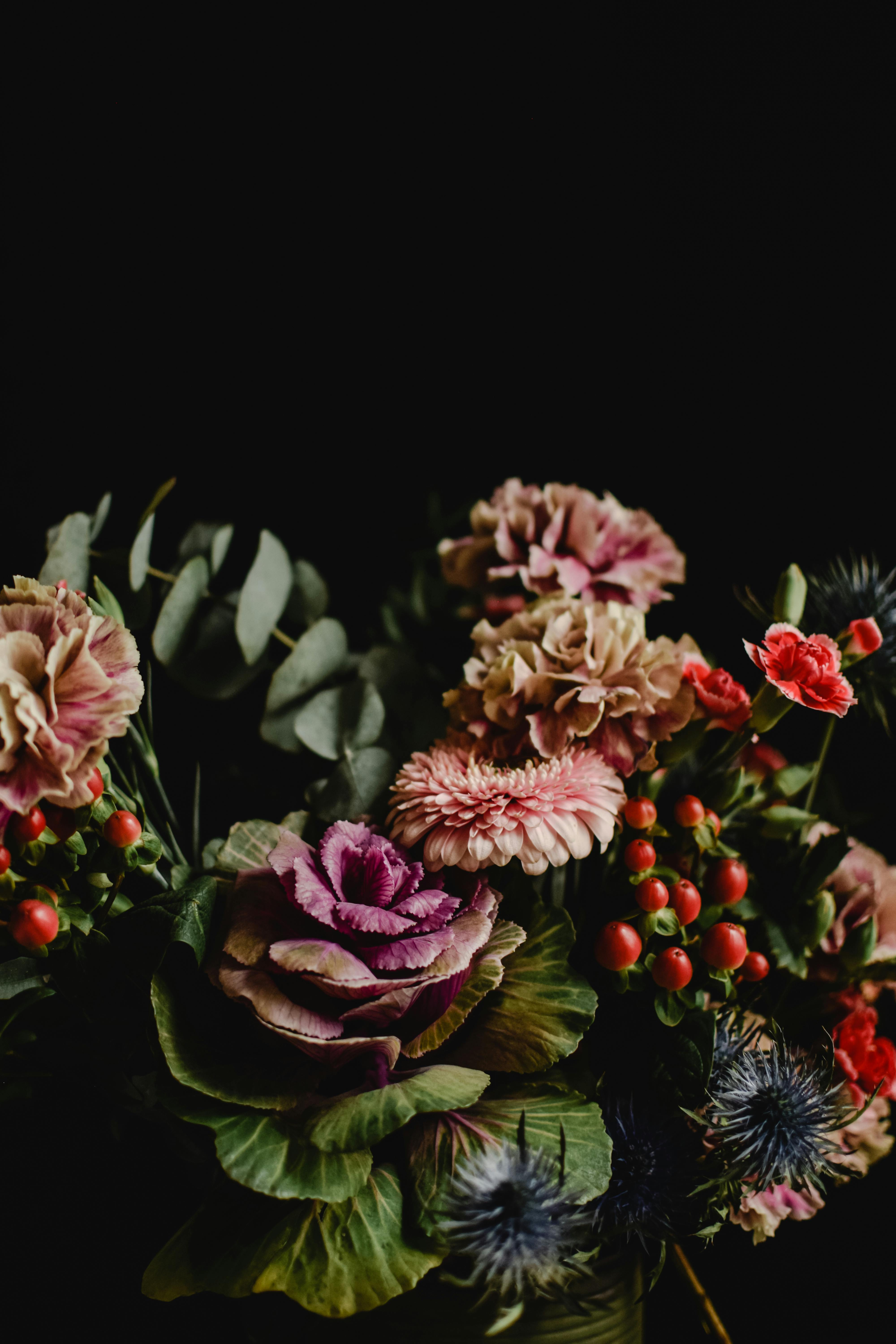 Close-Up View of Blooming Flowers · Free Stock Photo