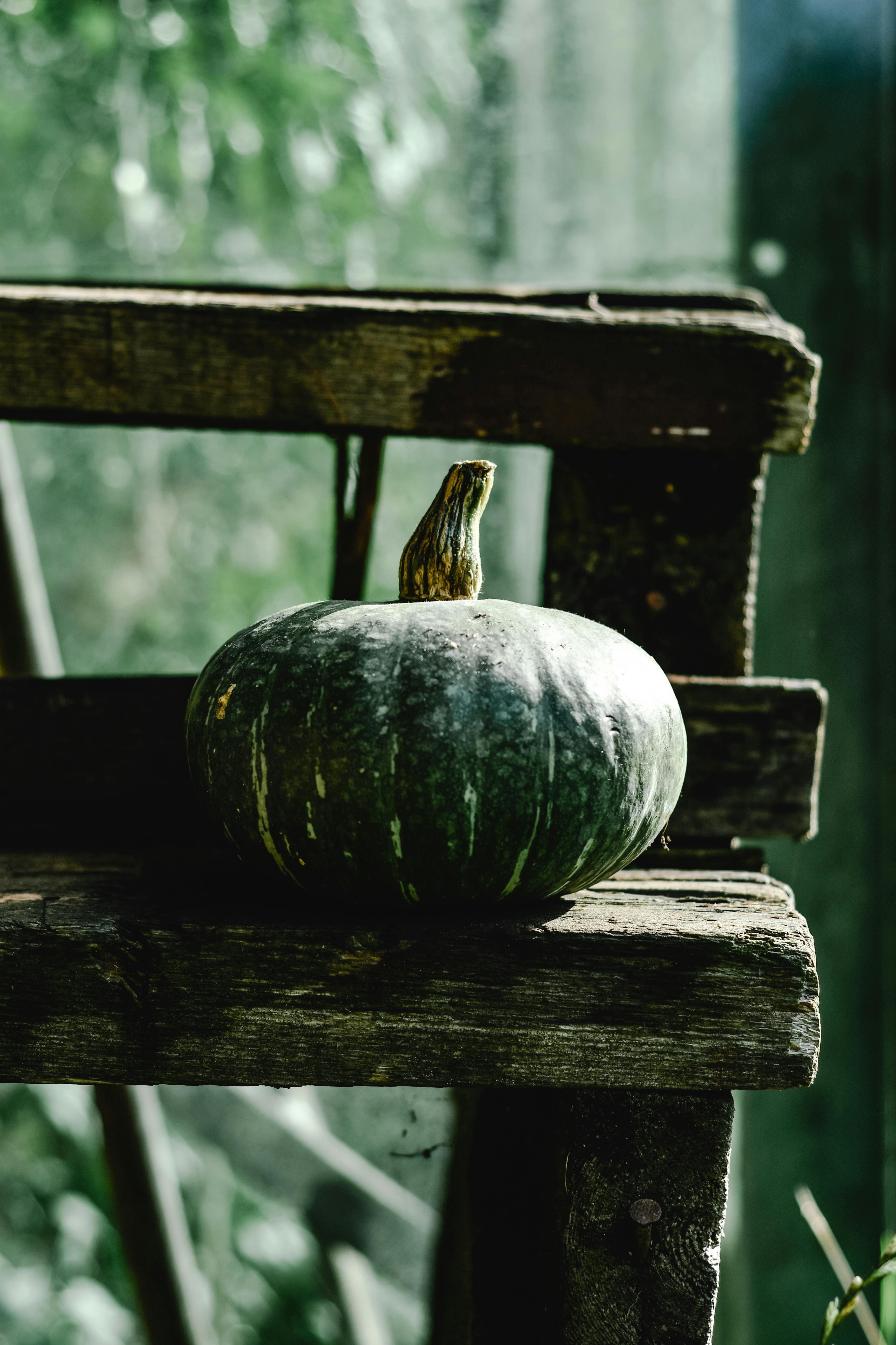 Squash on a Wooden Bench · Free Stock Photo