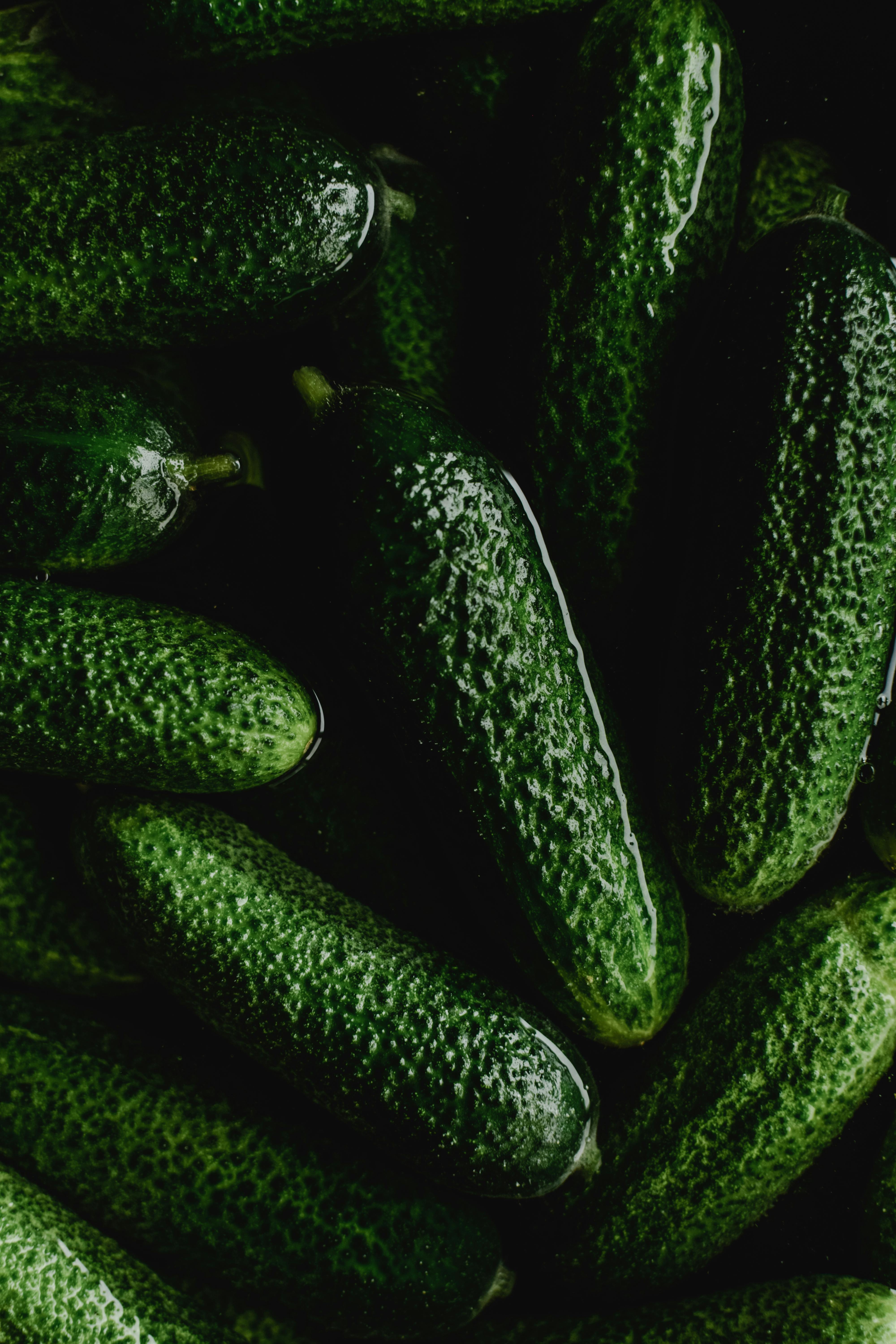 100+ Best Pickle Photos · 100% Free Download · Pexels Stock Photos