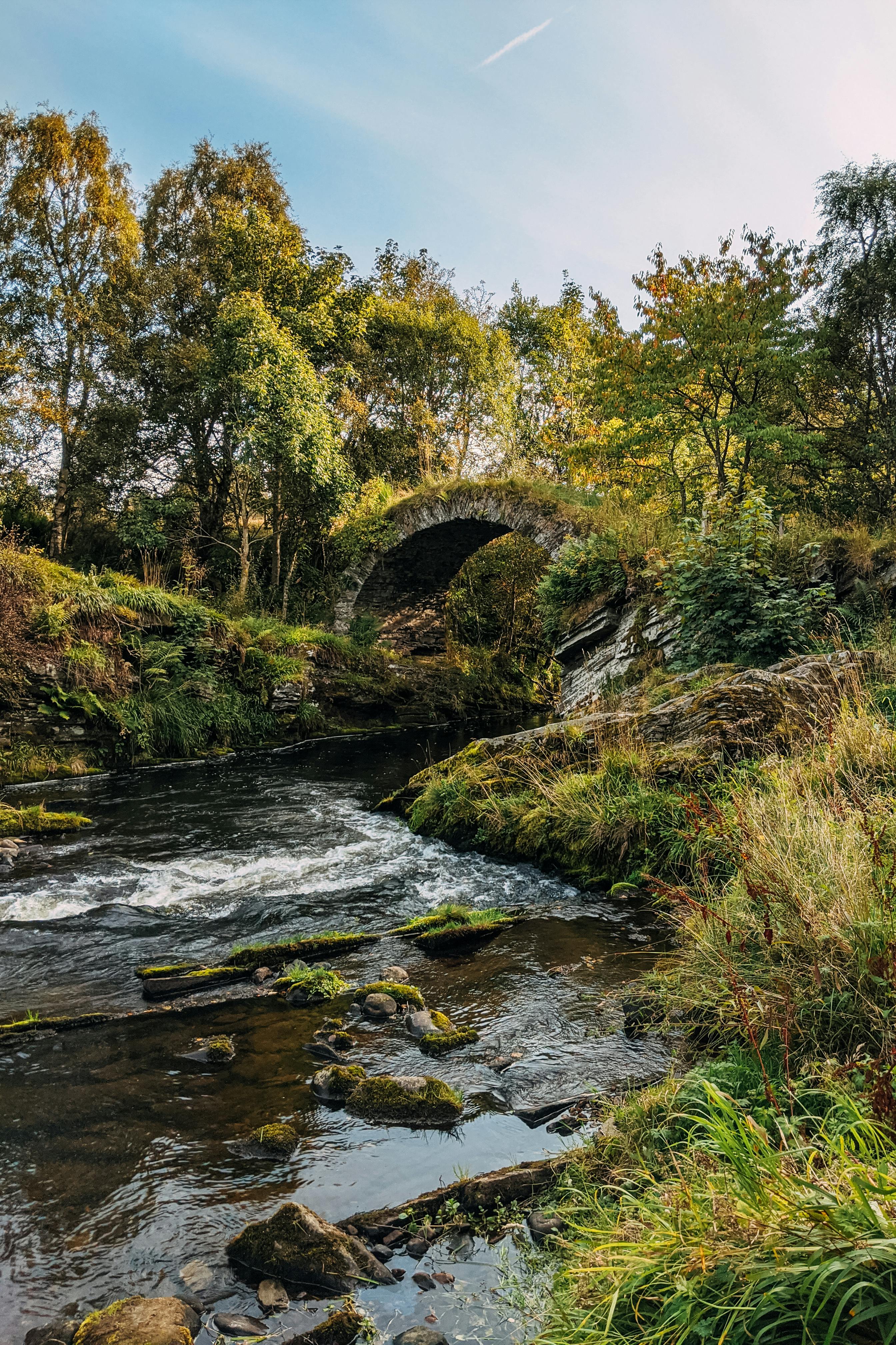 Moray Photos, Download The BEST Free Moray Stock Photos & HD Images