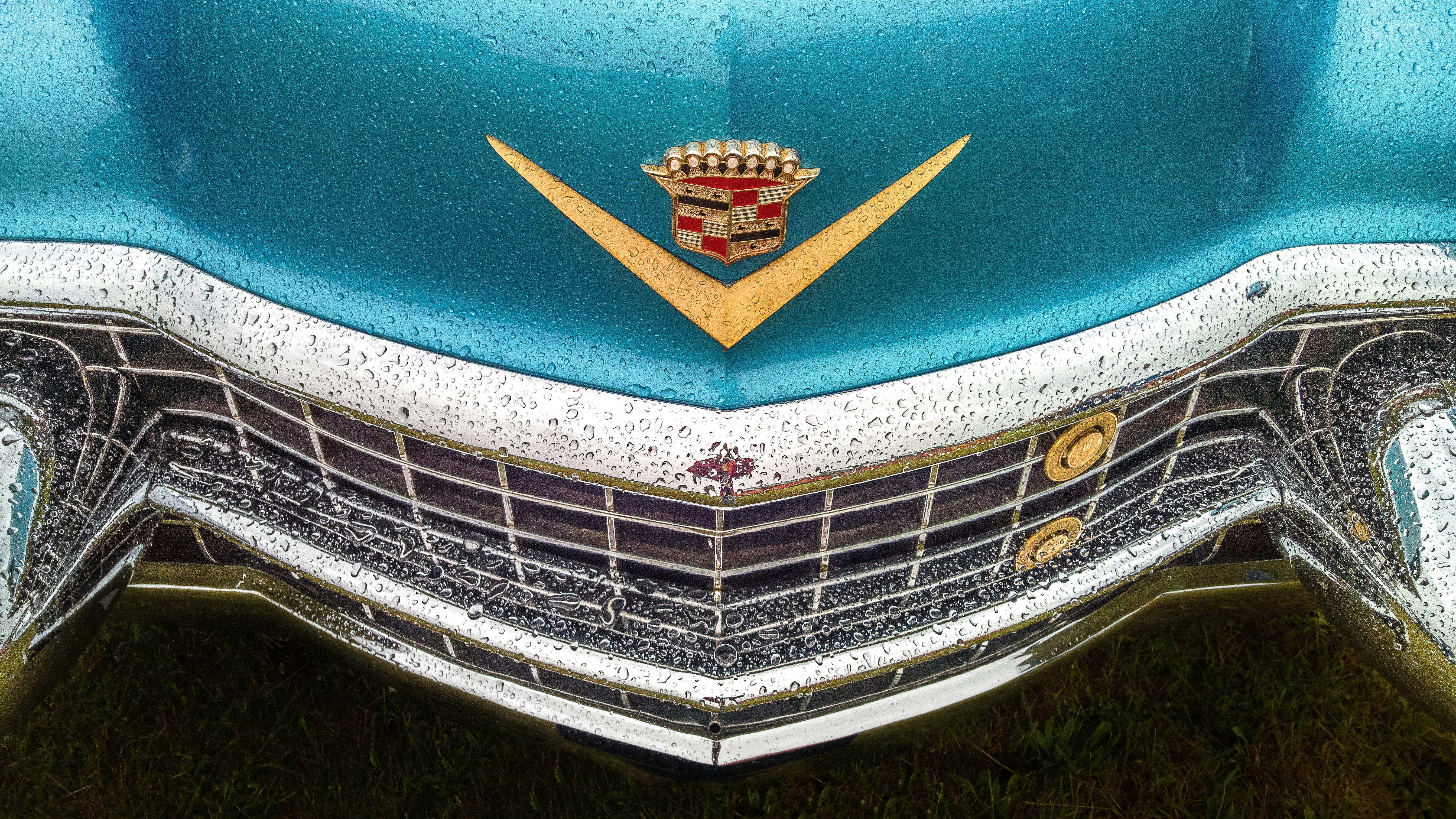 A Blue Classic Chevrolet Emblem on a Wet Car · Free Stock Photo