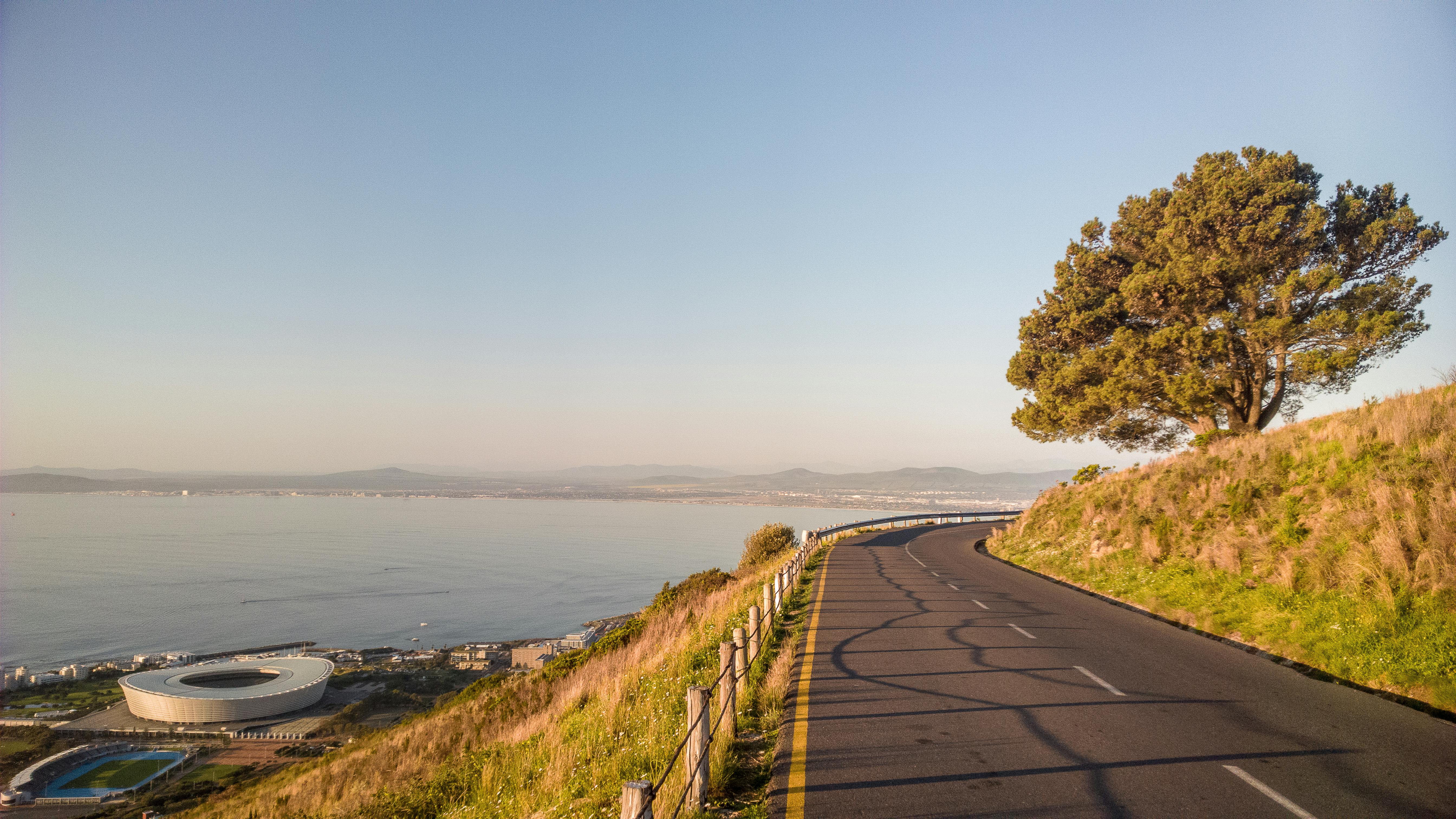 Tree and Road next to Sea · Free Stock Photo