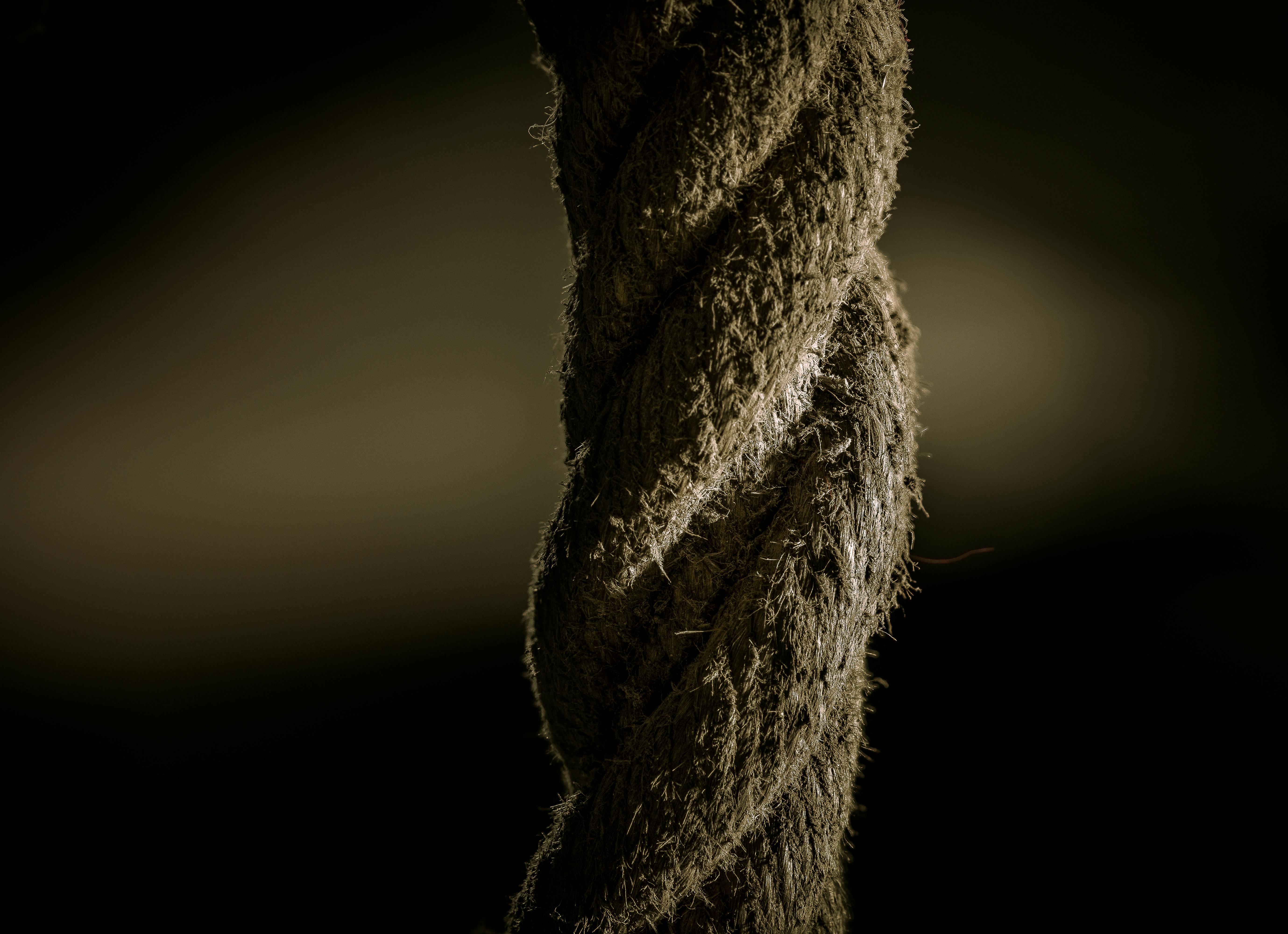 Close-Up Shot of Ropes · Free Stock Photo